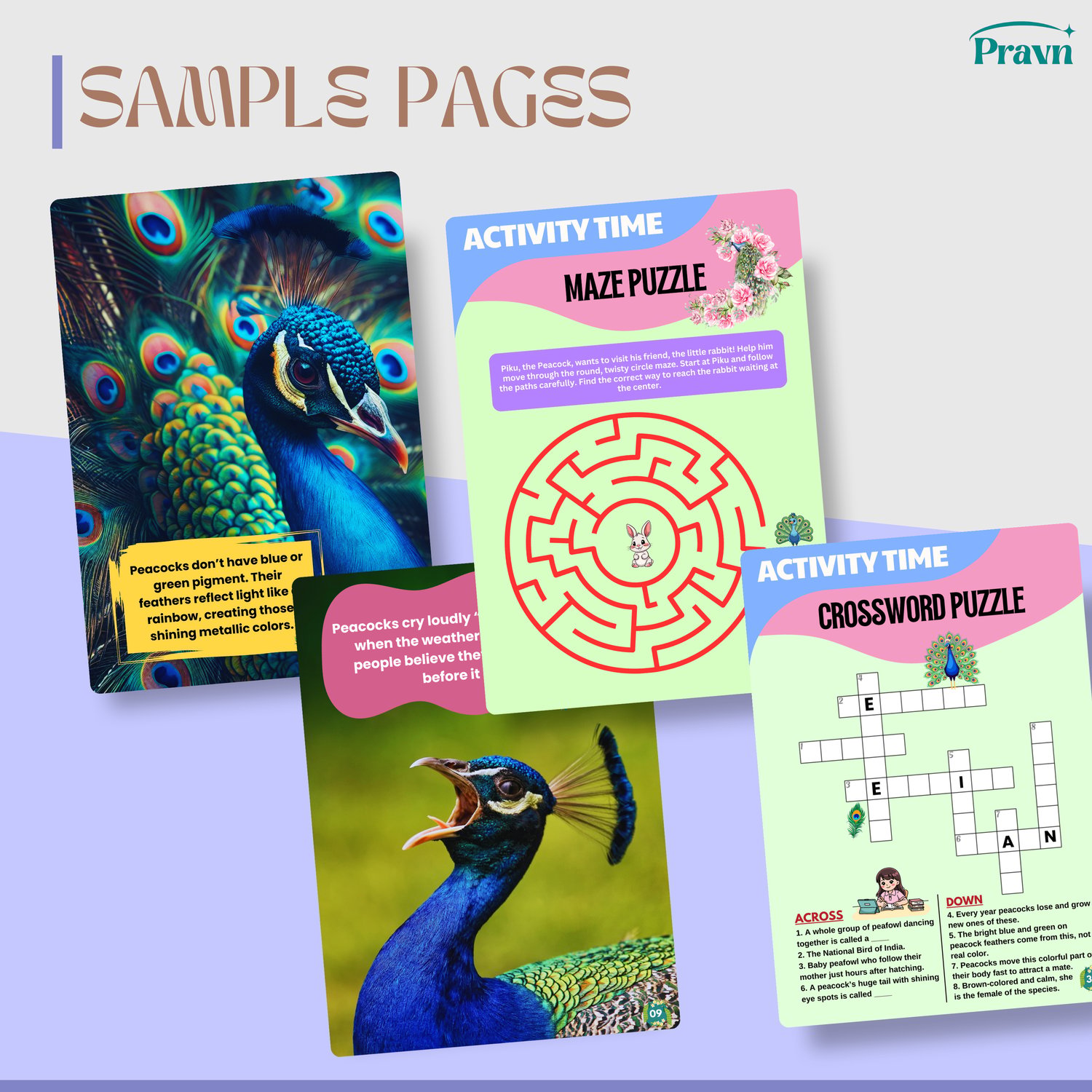 Peacock | Learn About Peacock | Peacock Story | 5 Kids Activities ...