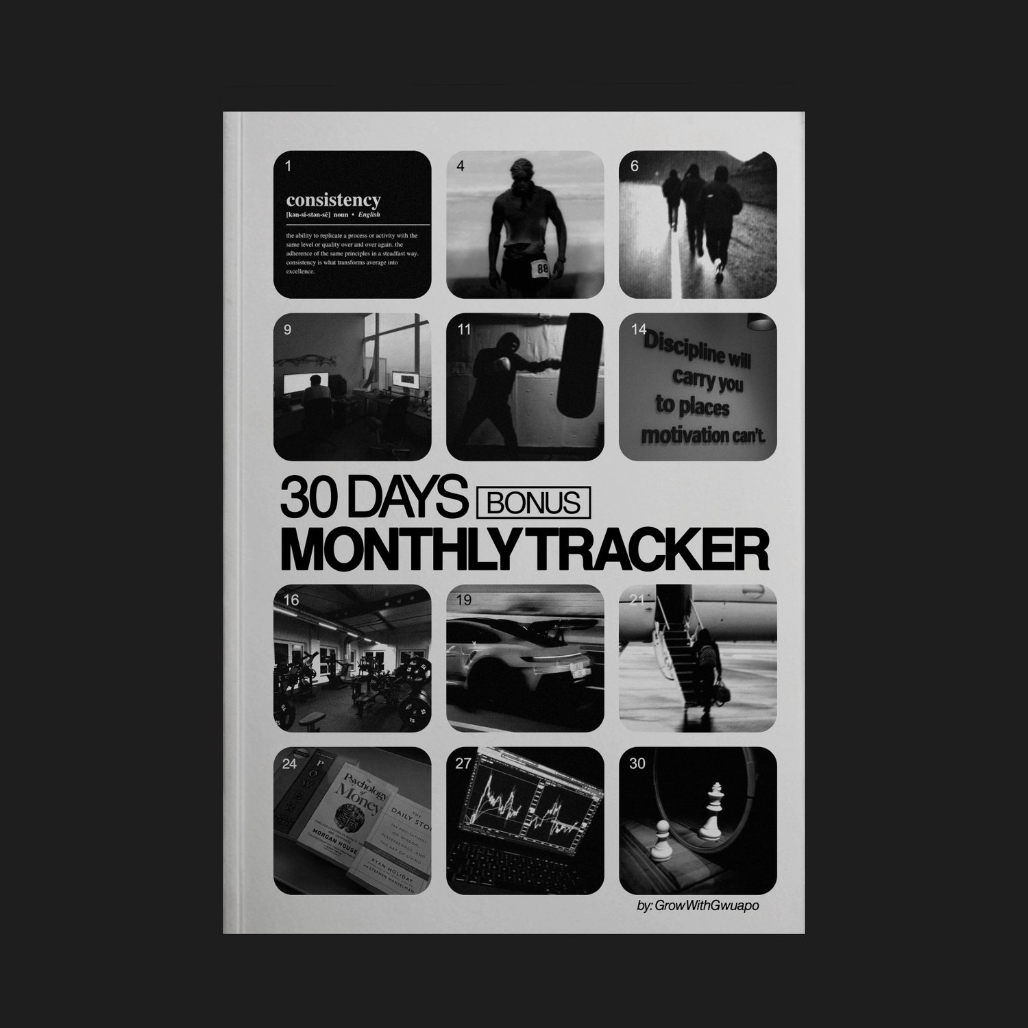 30 days monthly tracker( BONUS) - Payhip