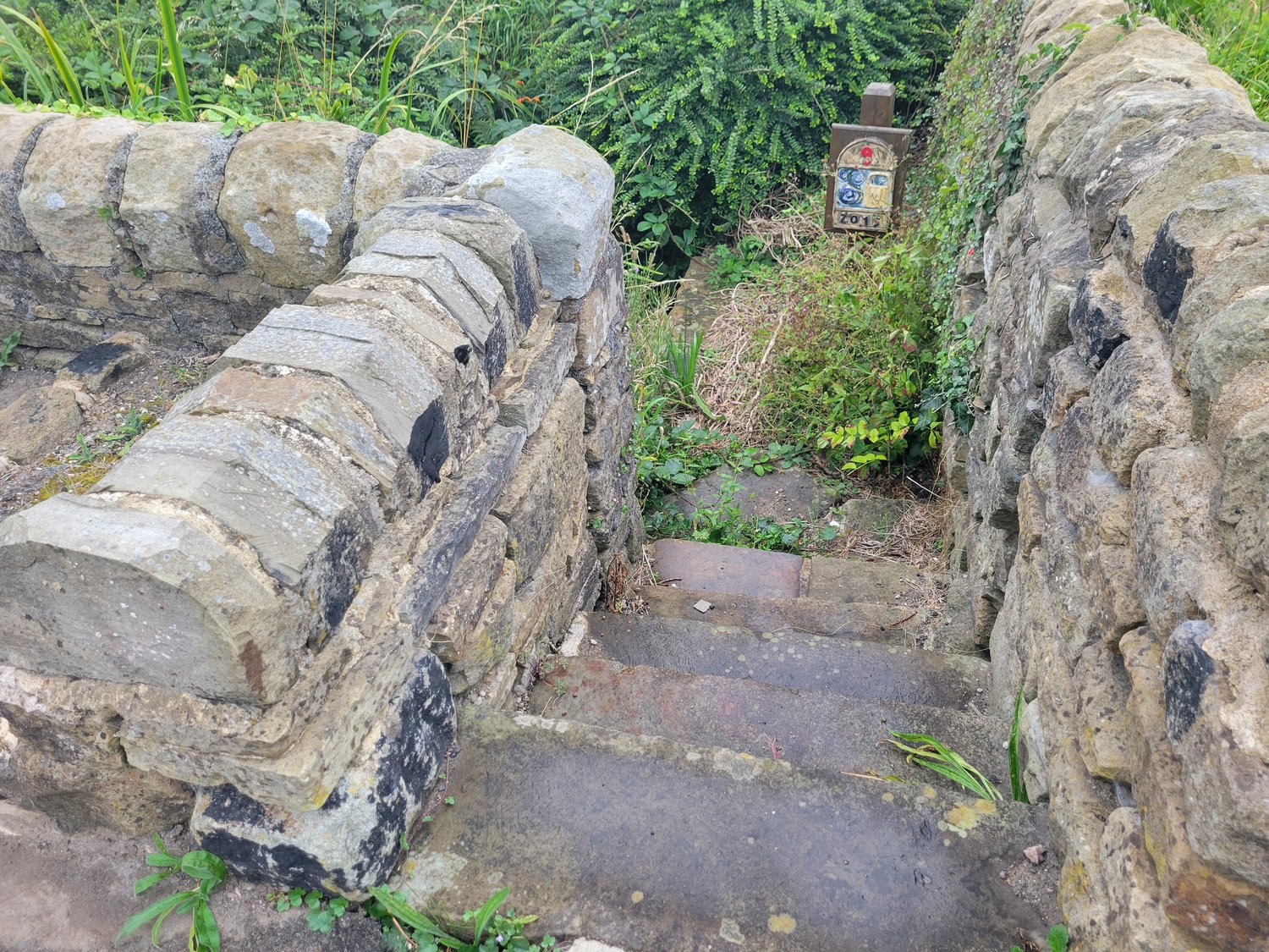 The Legend of Jenny Greenteeth: Lancashire Folklore, Witchcraft & Water ...