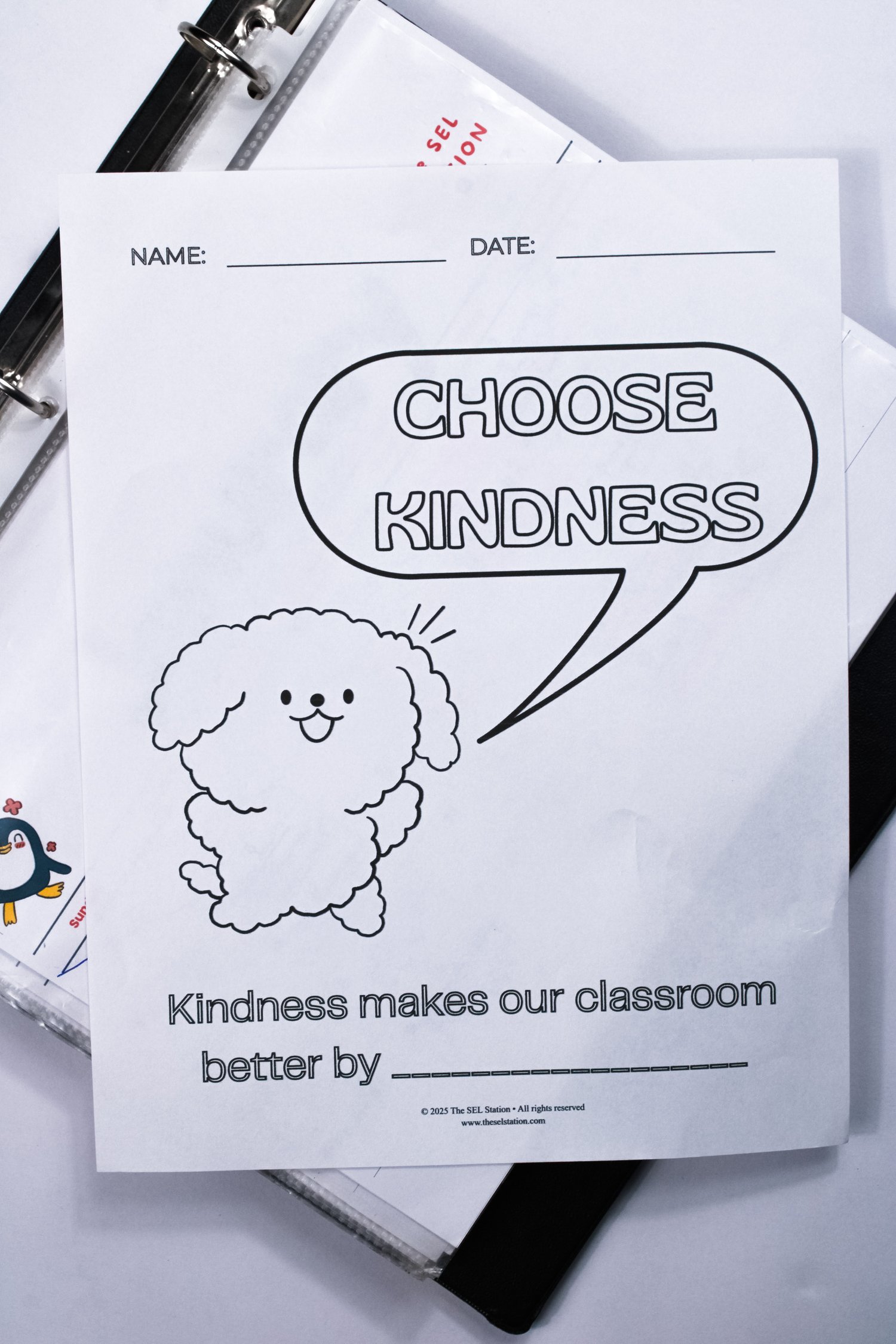 Choose Kindness | Worksheet for Elementary (Print & Go, No Prep) - Payhip
