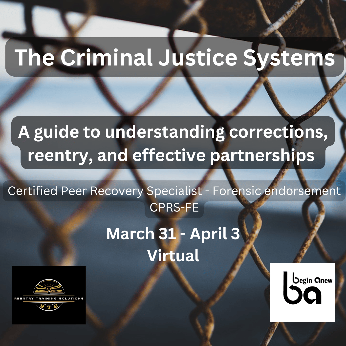 The Criminal Justice Systems: A Guide to understanding corrections ...