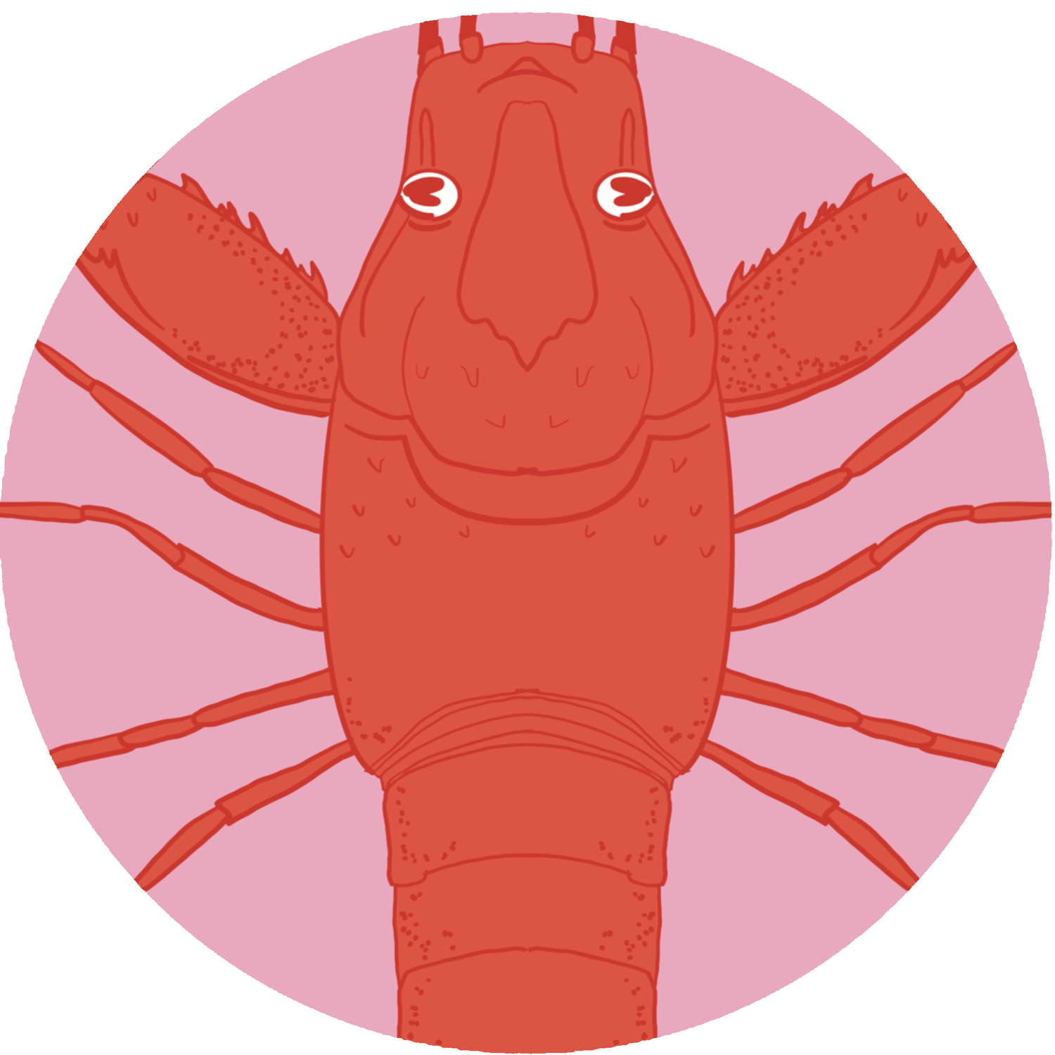 Kōura (NZ Crayfish) - Digital Artwork - Payhip