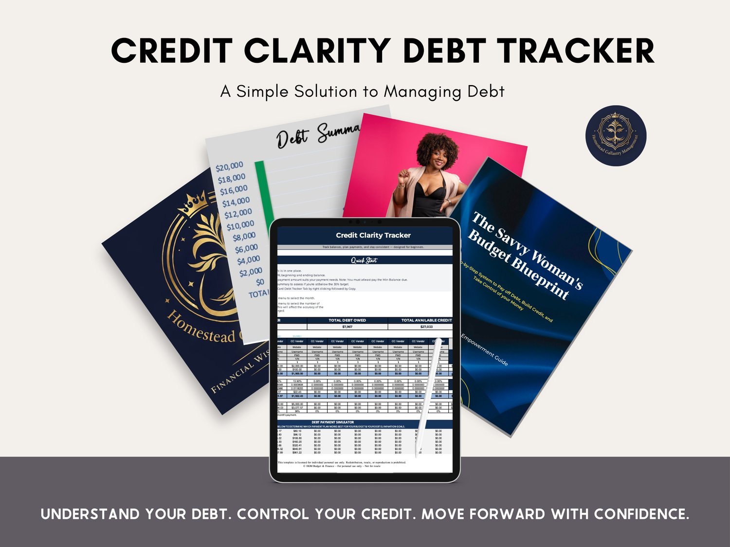 Credit Clarity Debt Tracker - Payhip