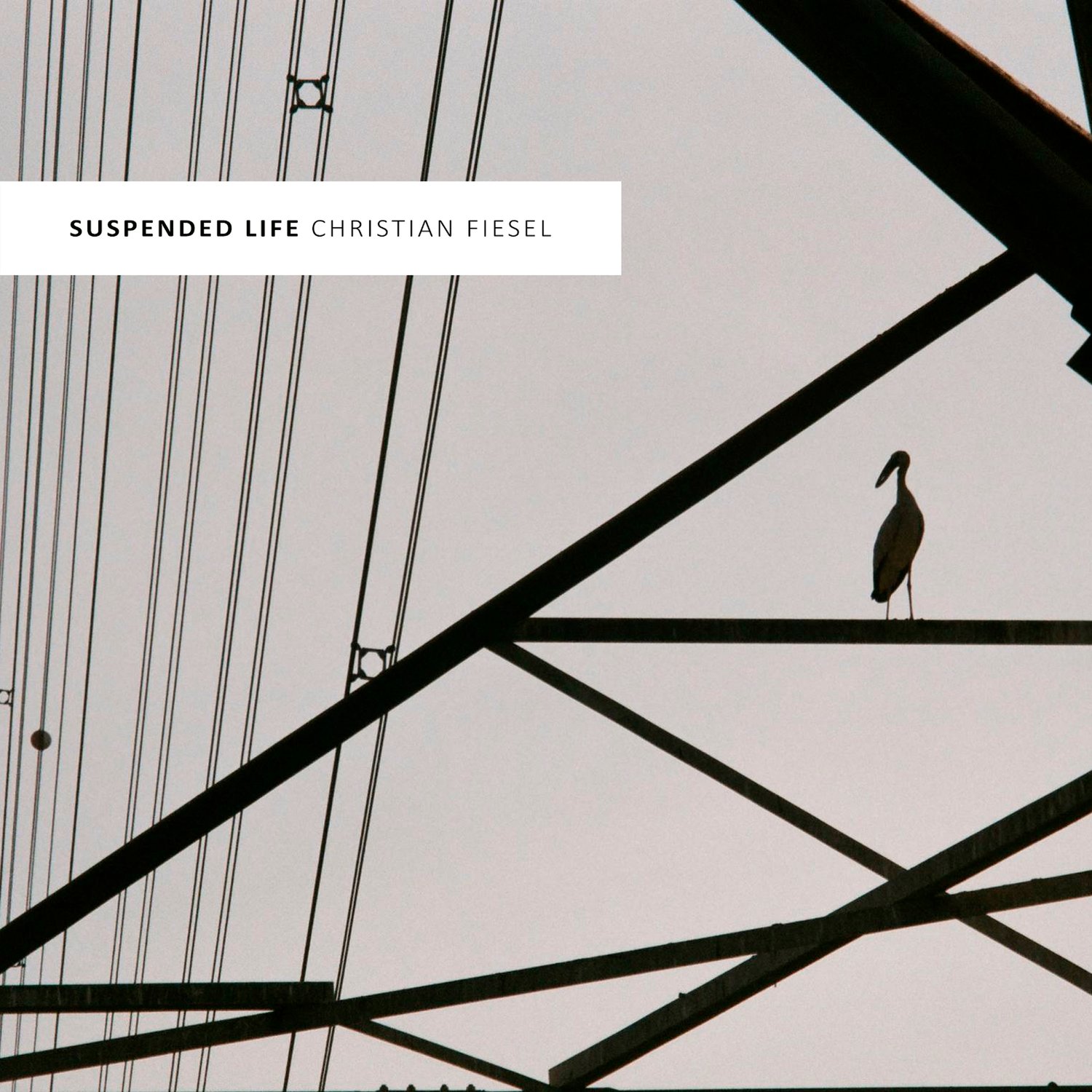 Christian Fiesel - Suspended Life [CYD 0088] - Payhip