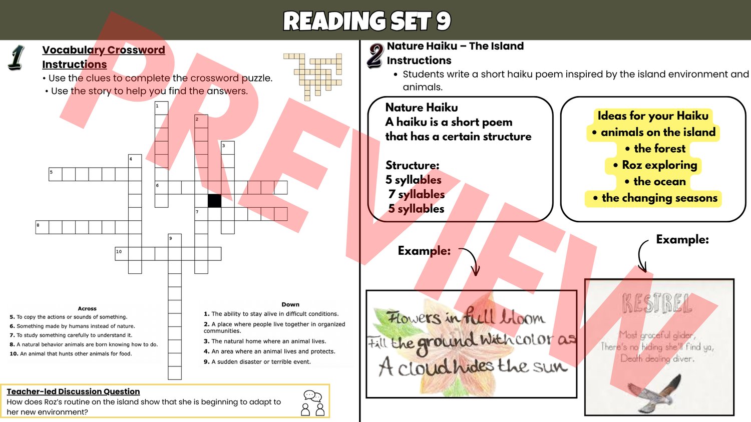 The Wild Robot Novel Study | Printable Worksheets PDF & Activities ...