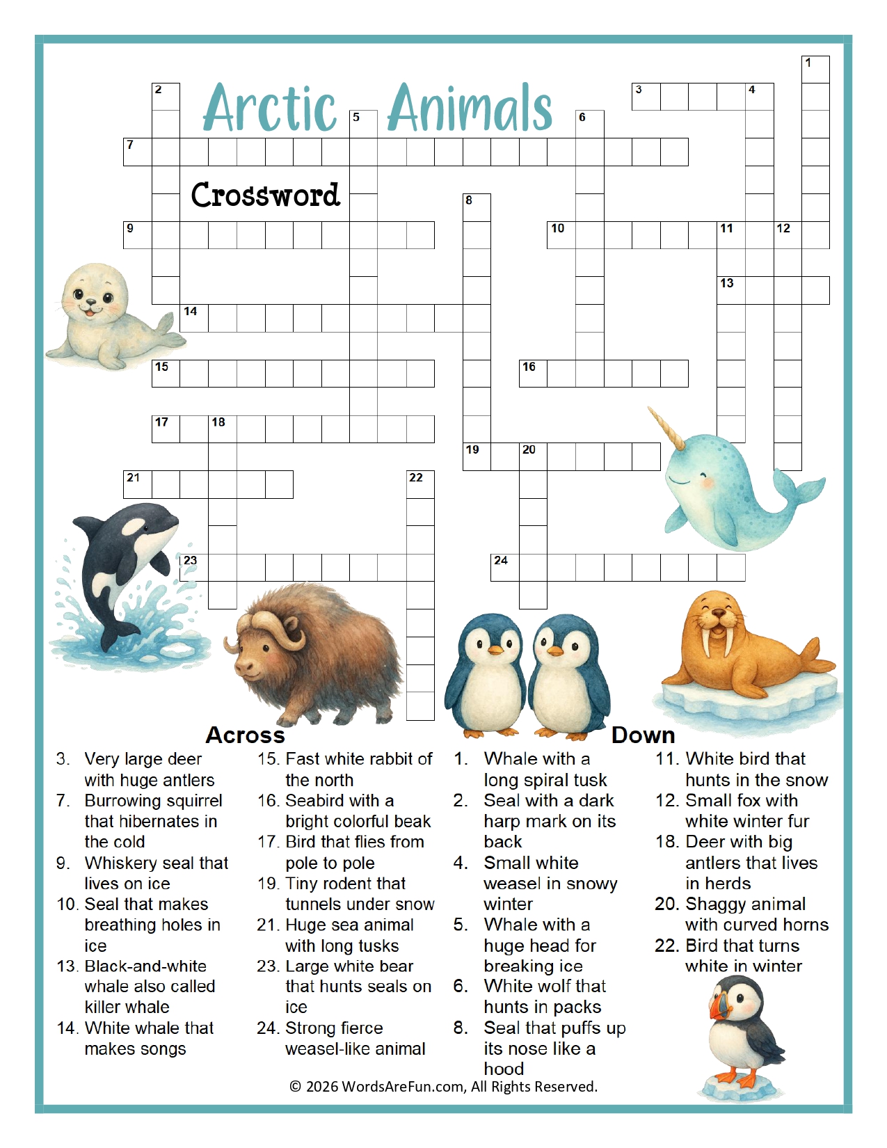 Arctic Animals Crossword Puzzle Printable PDF | Polar Animal Activity