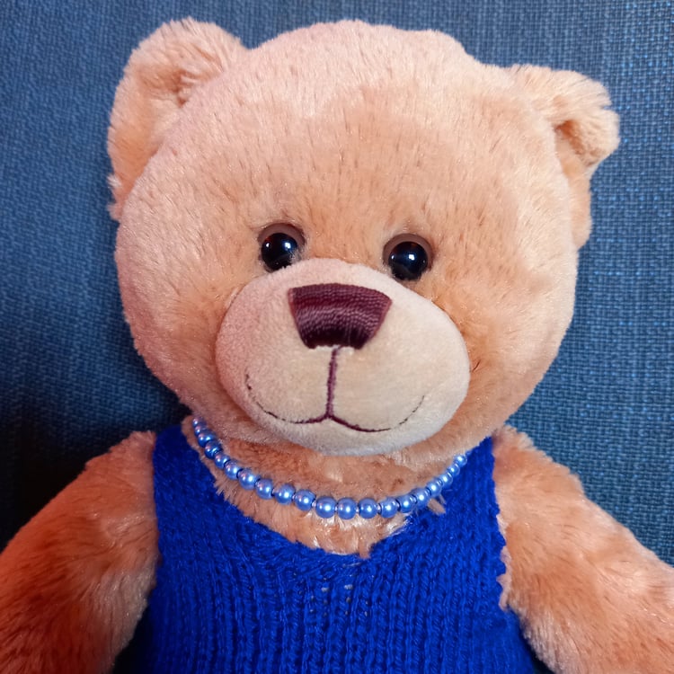 Teddy Bear Essentials - Pawmade Accessories By May - Payhip