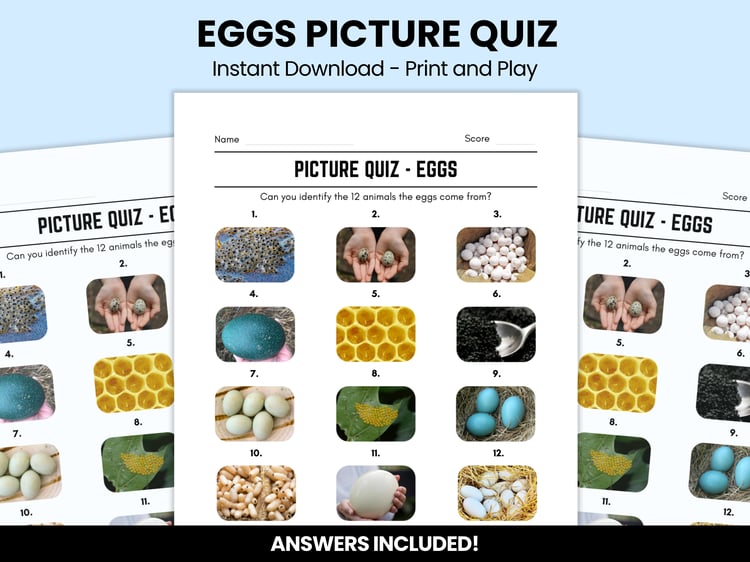 Mikko Games - Easter Quizzes