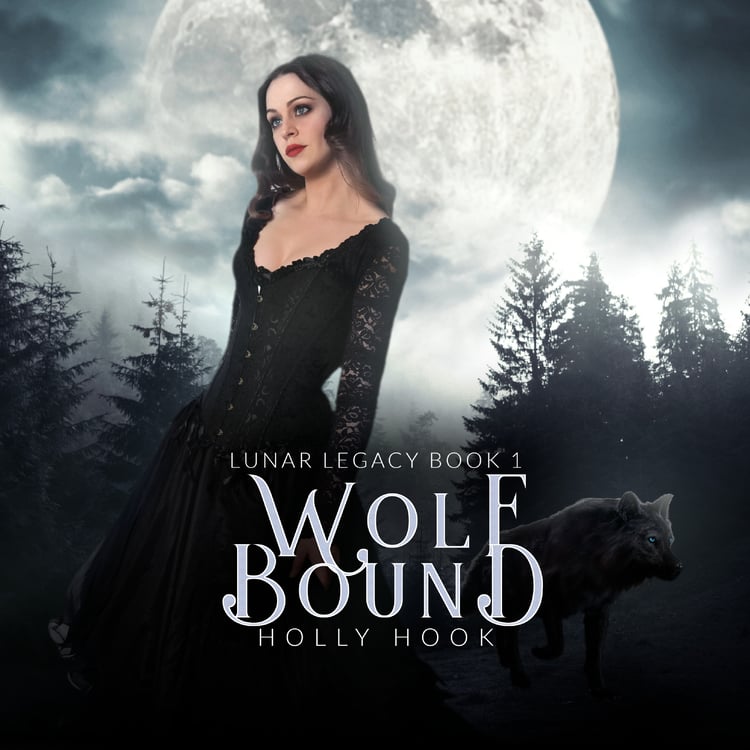Holly Hook's Books