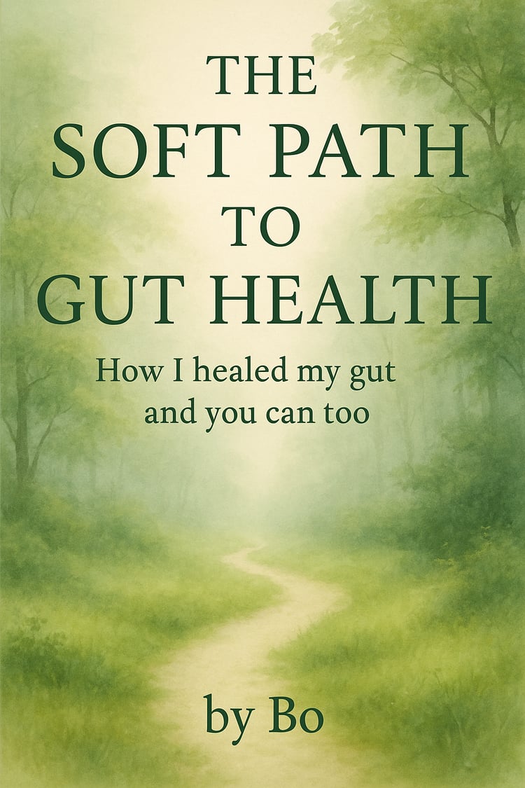 The Soft Path - Payhip