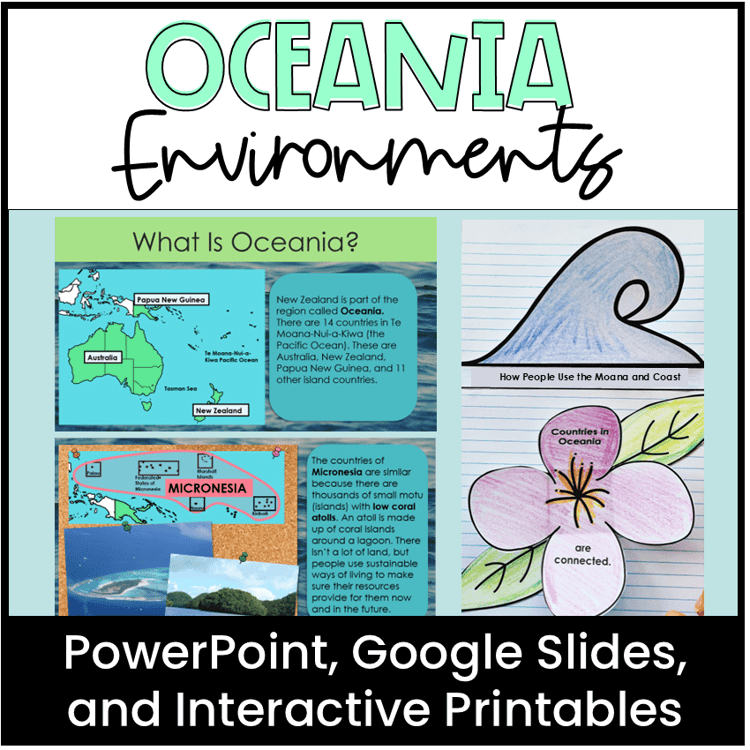 History of Flight Timeline Planes Then and Now Worksheet Interactive ...