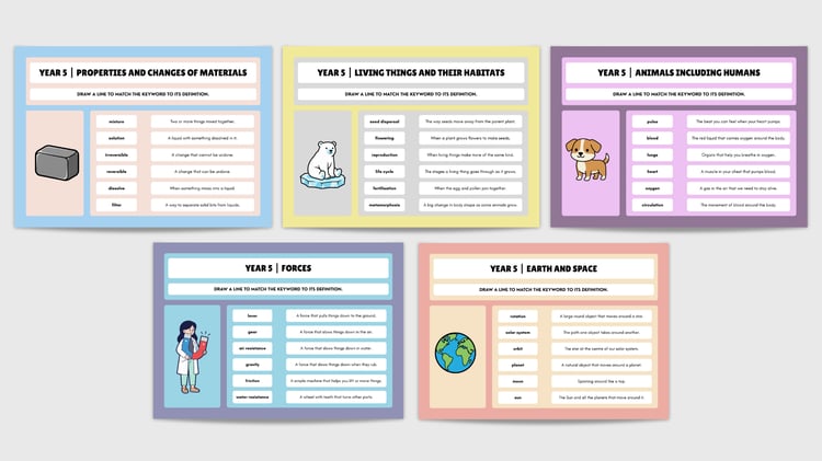 Year 4 Science Vocabulary Matching | Canva Editable Worksheets