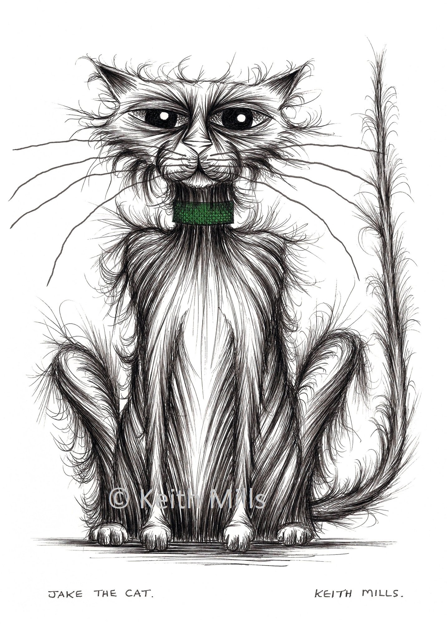 Jake the cat Print download - Payhip
