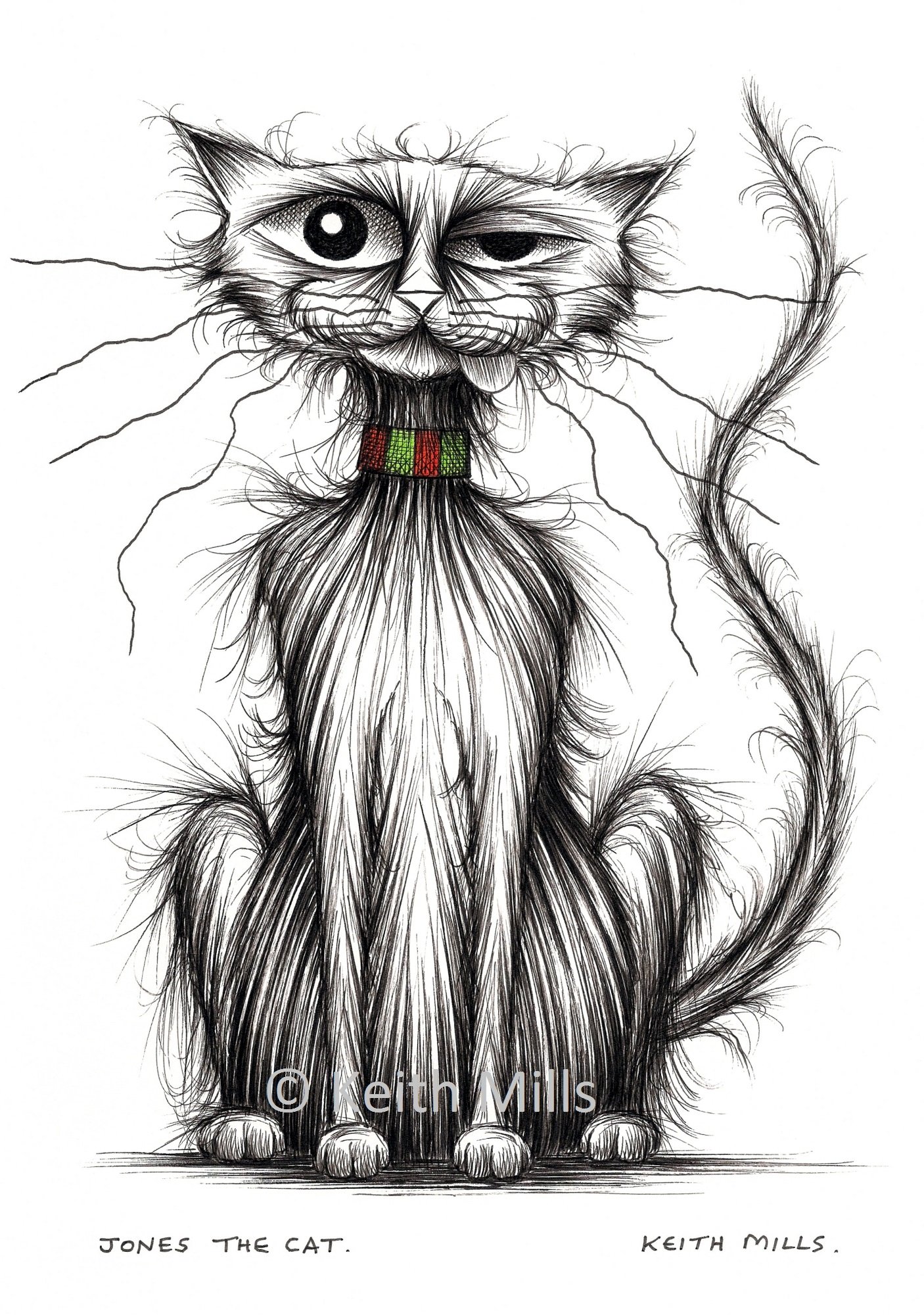 Jones the cat Print download - Payhip