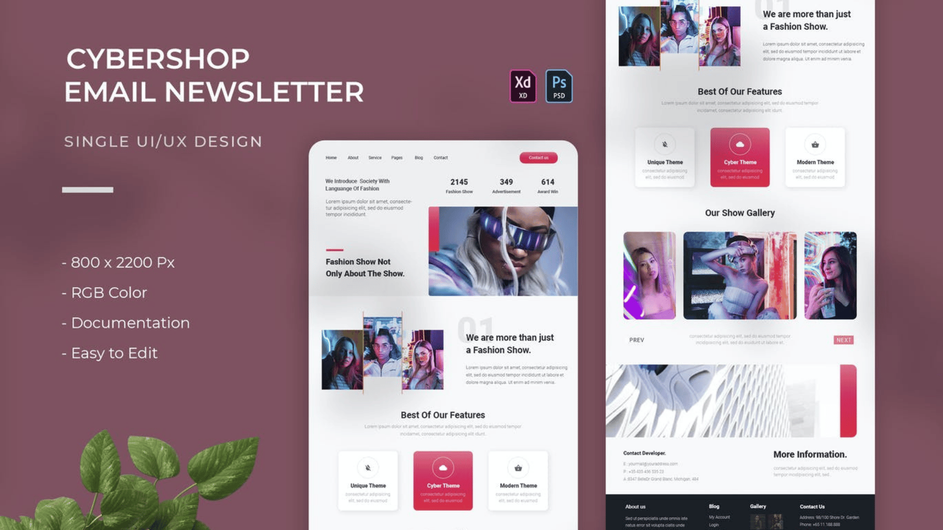 Cybershop Email Newsletter Template - Payhip