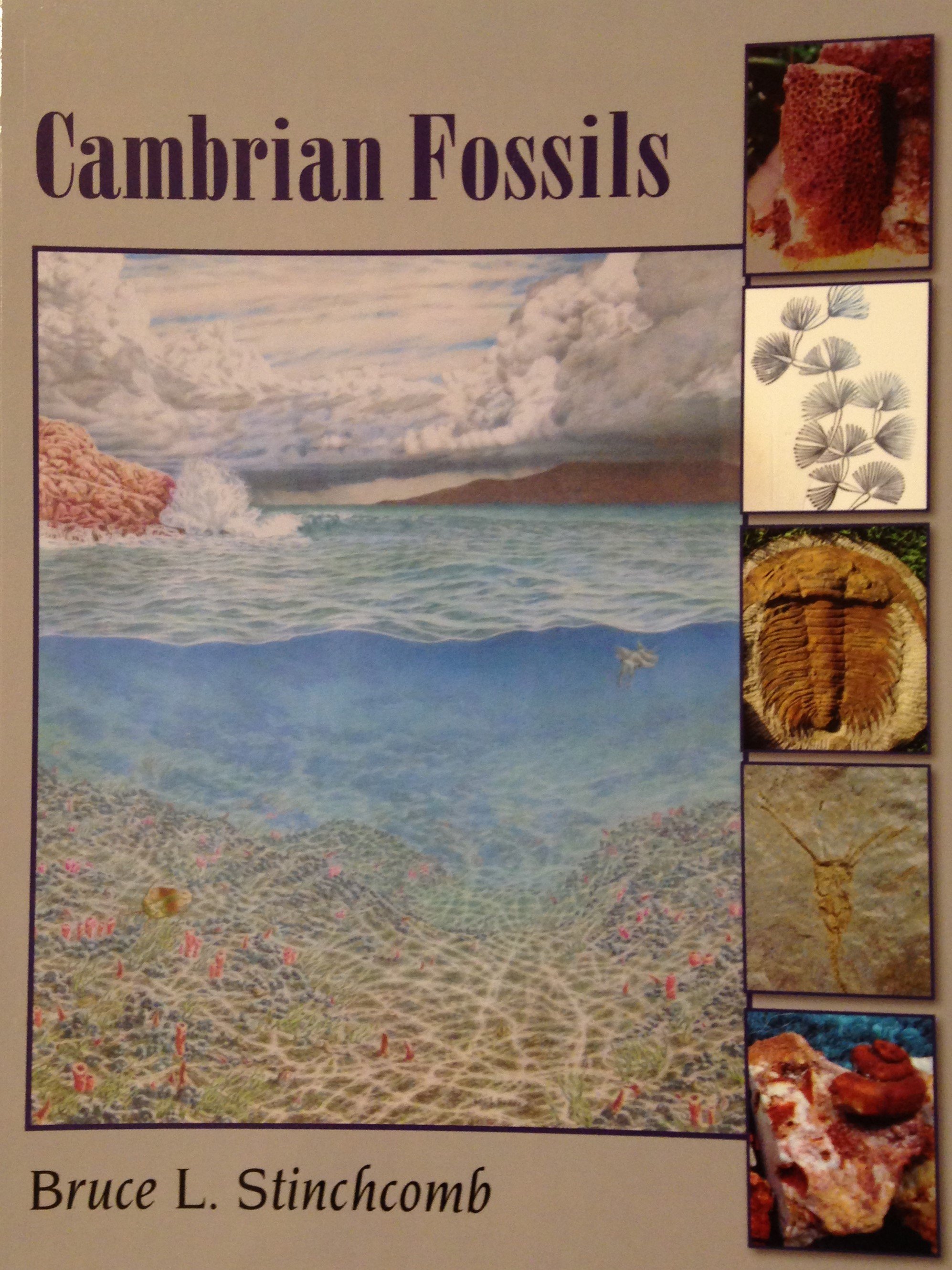 Cambrian Fossils by Dr. Bruce Stinchcomb Softcover - Payhip