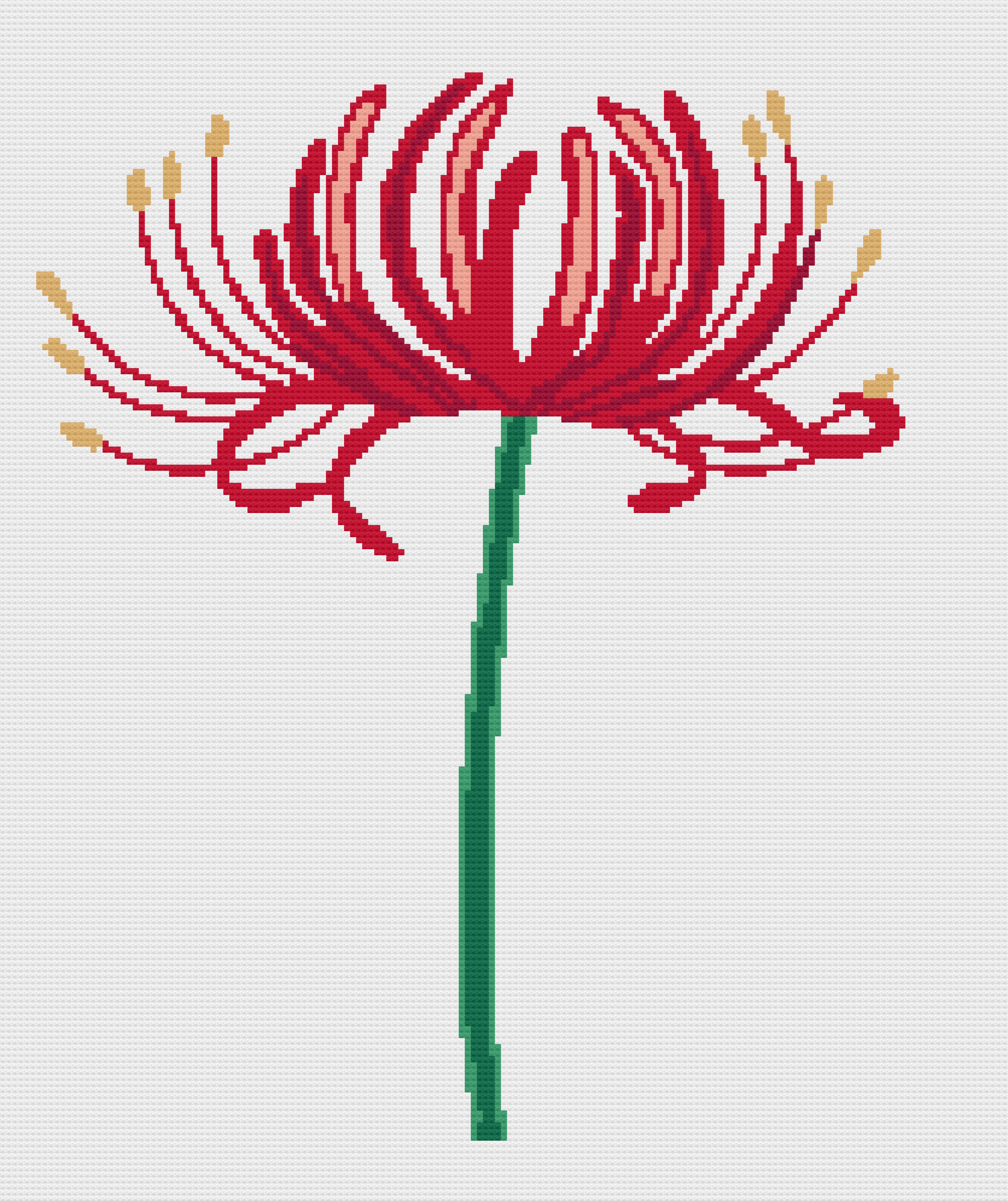 spider lily - Payhip