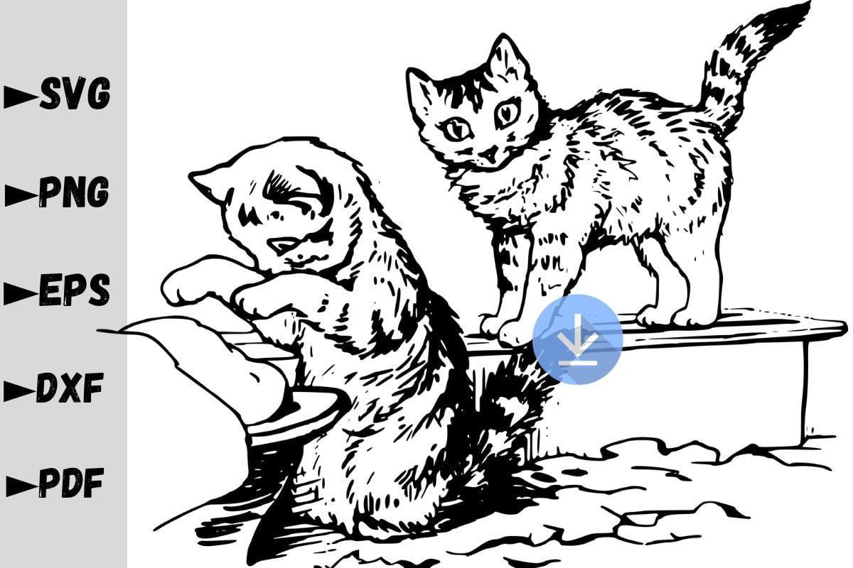 Curious Cats SVG, Funny Cats SVG, comic and curious cats SVG, Cats ...