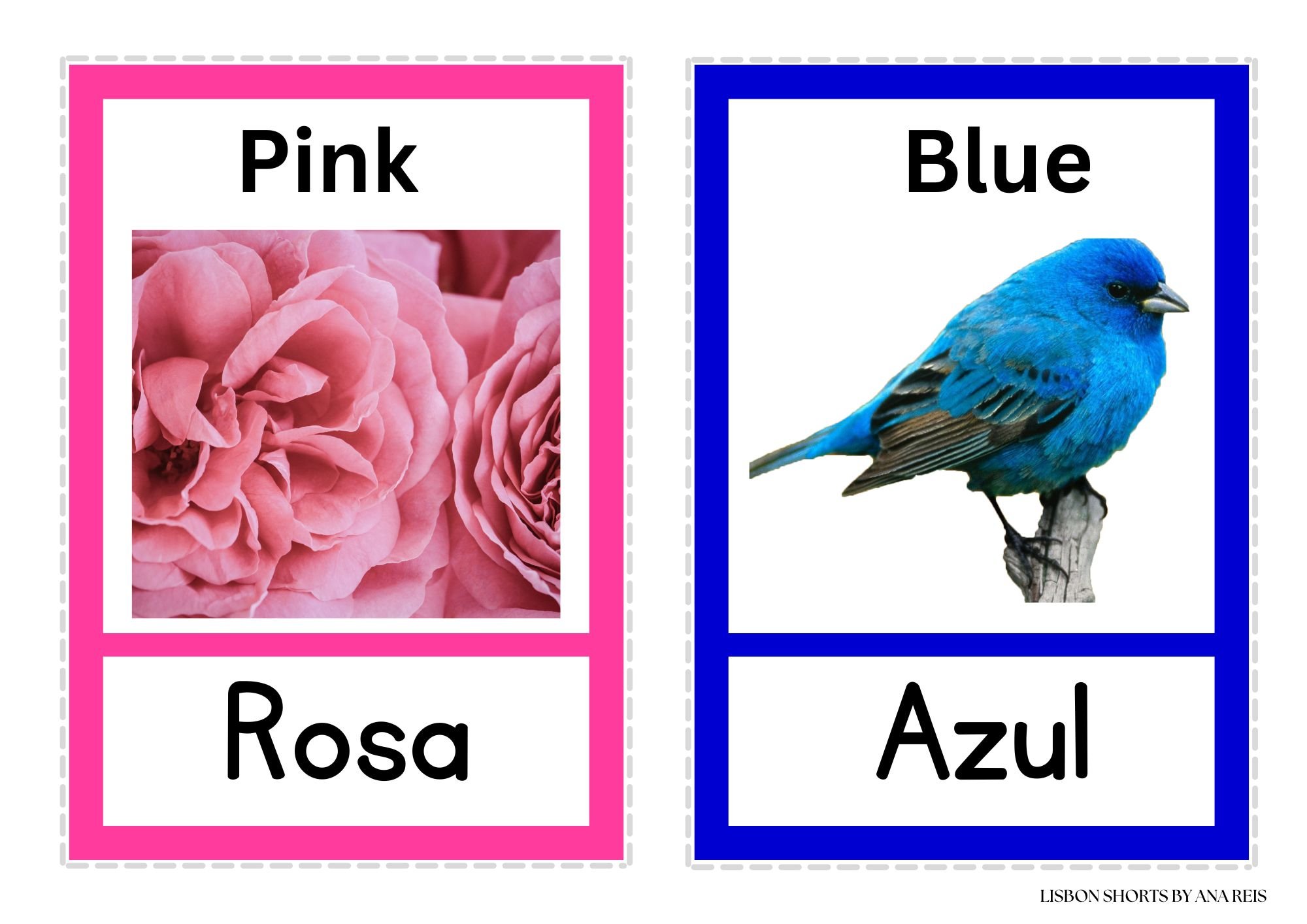 15 Flashcards de cores em Português - Payhip