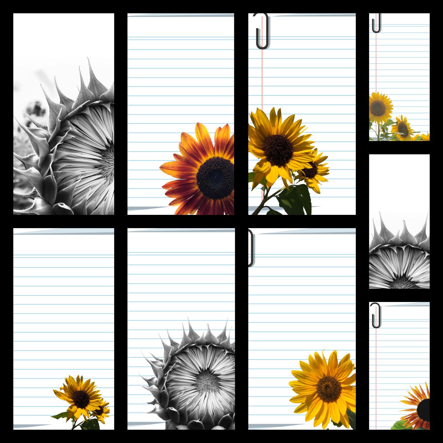 9 Sunflower Journal Pages - Payhip