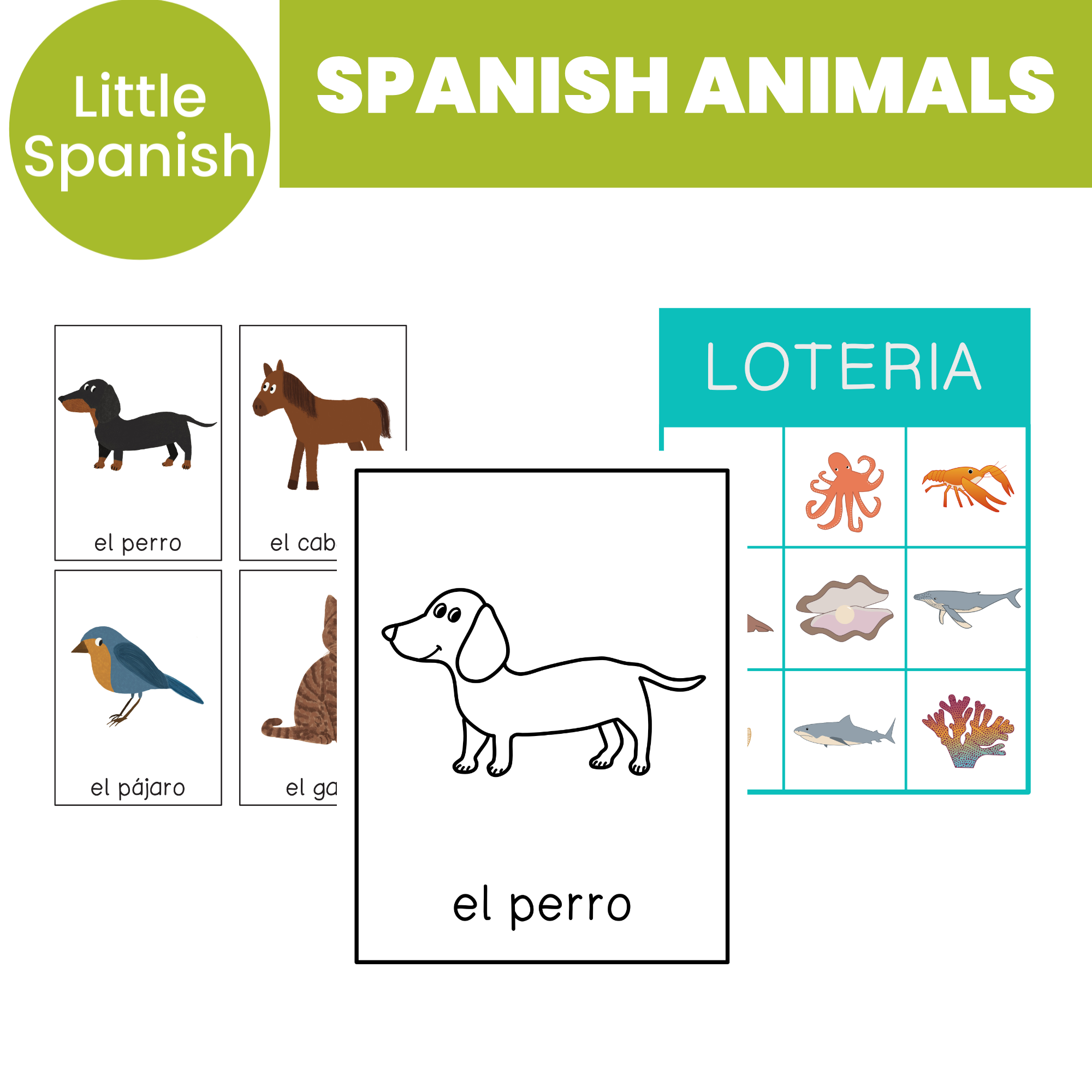 Little Spanish - Payhip