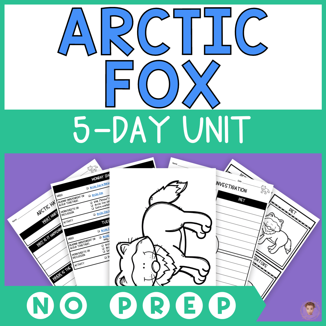 Arctic Fox Unit Study (Arctic Animals Lesson Plan, Videos, Activities)
