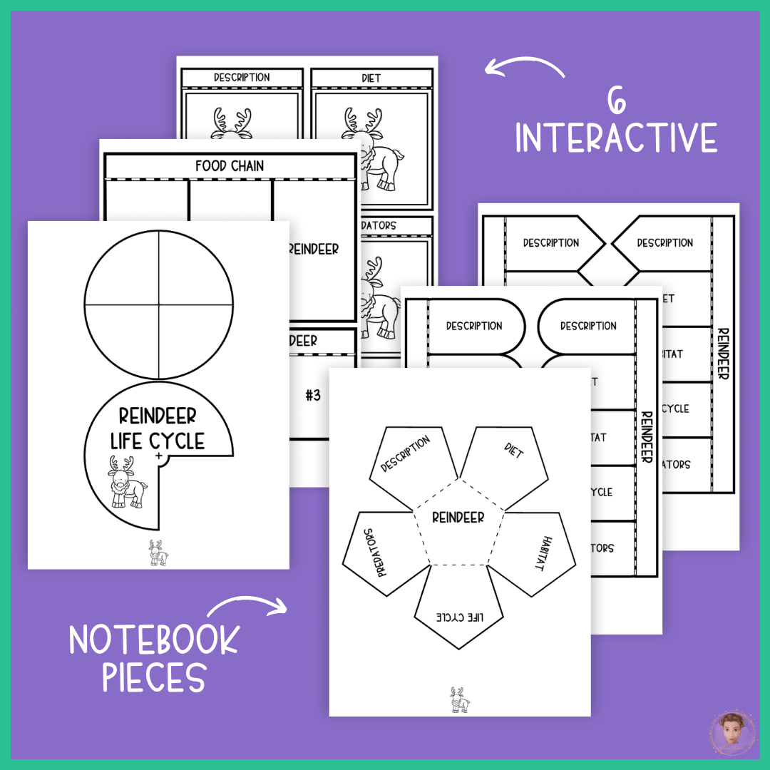 Reindeer Unit Study (Arctic Animals Lesson Plan, Videos, Activities)
