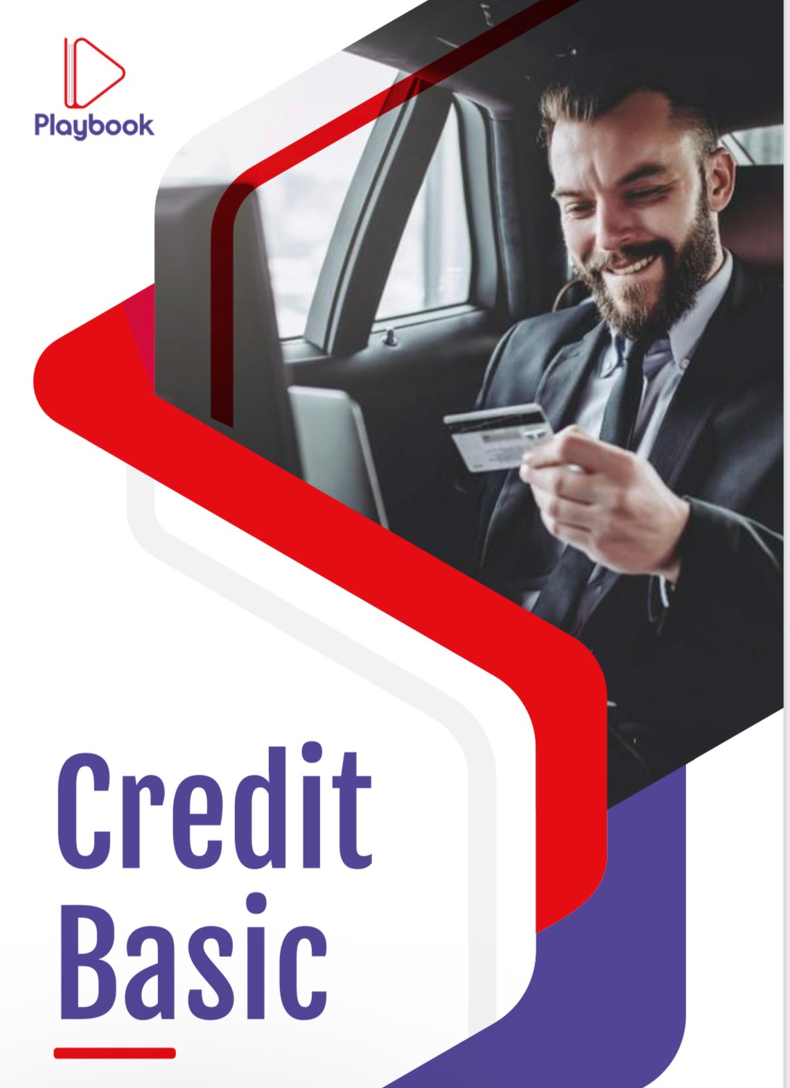 Credit Basics Playbook - Payhip