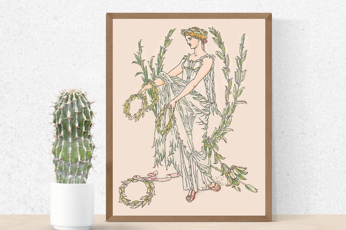Laurel aromatic plants illustration, - Payhip
