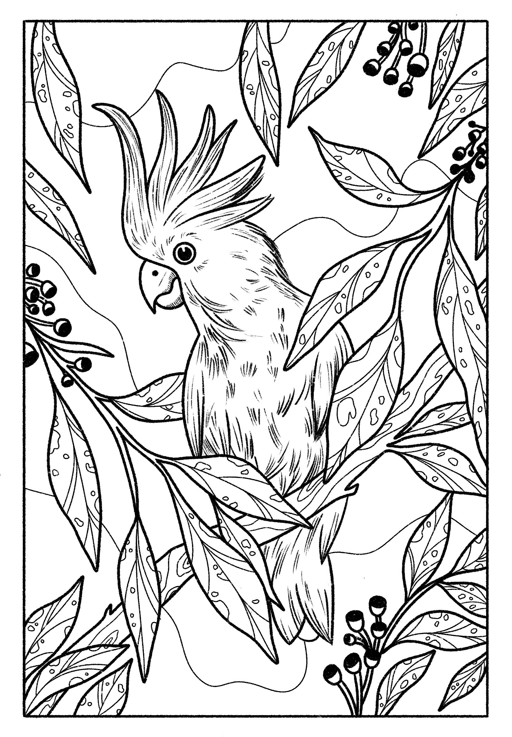 FREE - Colouring Book Sample Pages - Payhip