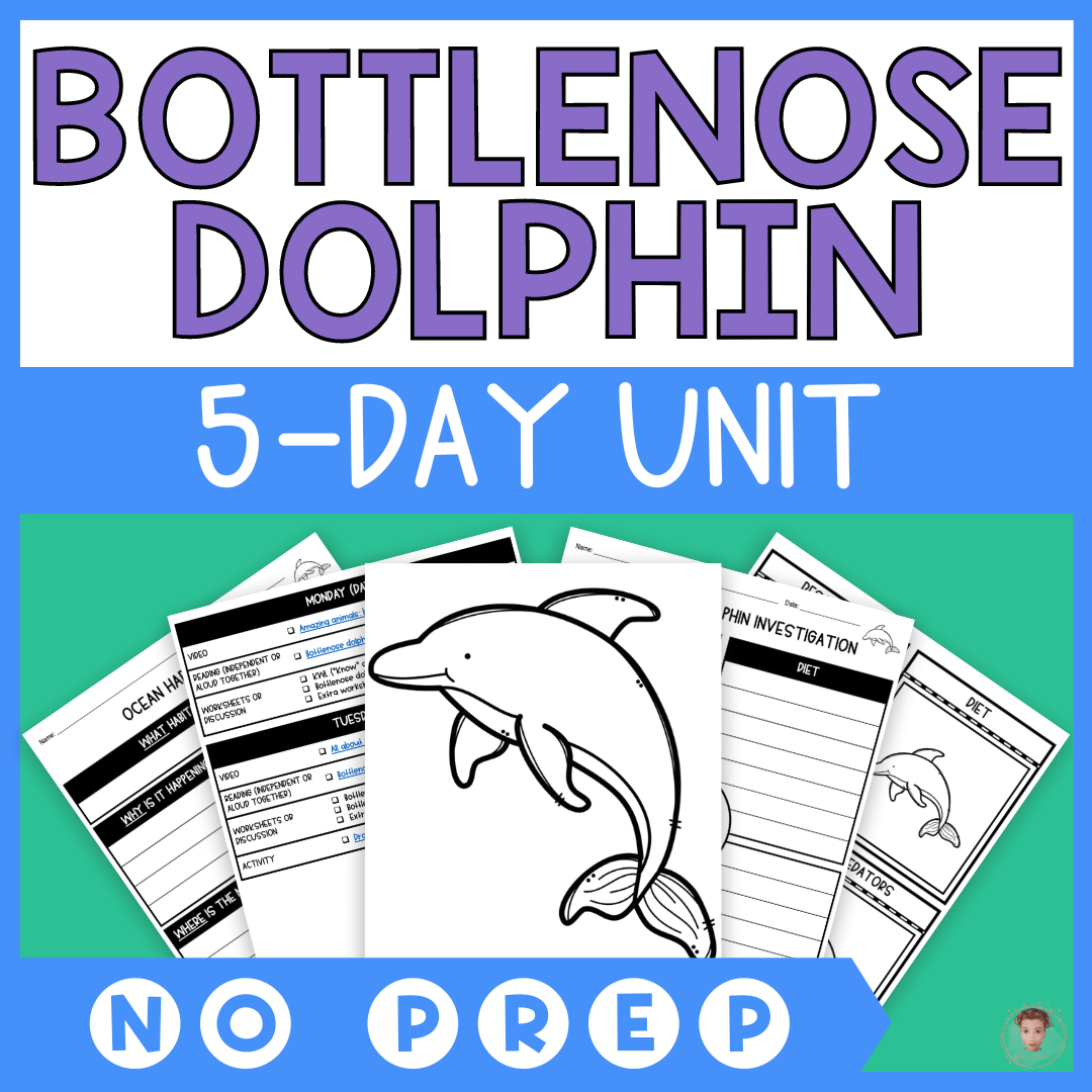 Bottlenose Dolphin Unit Study (Ocean Animals Lesson Plan, Videos ...