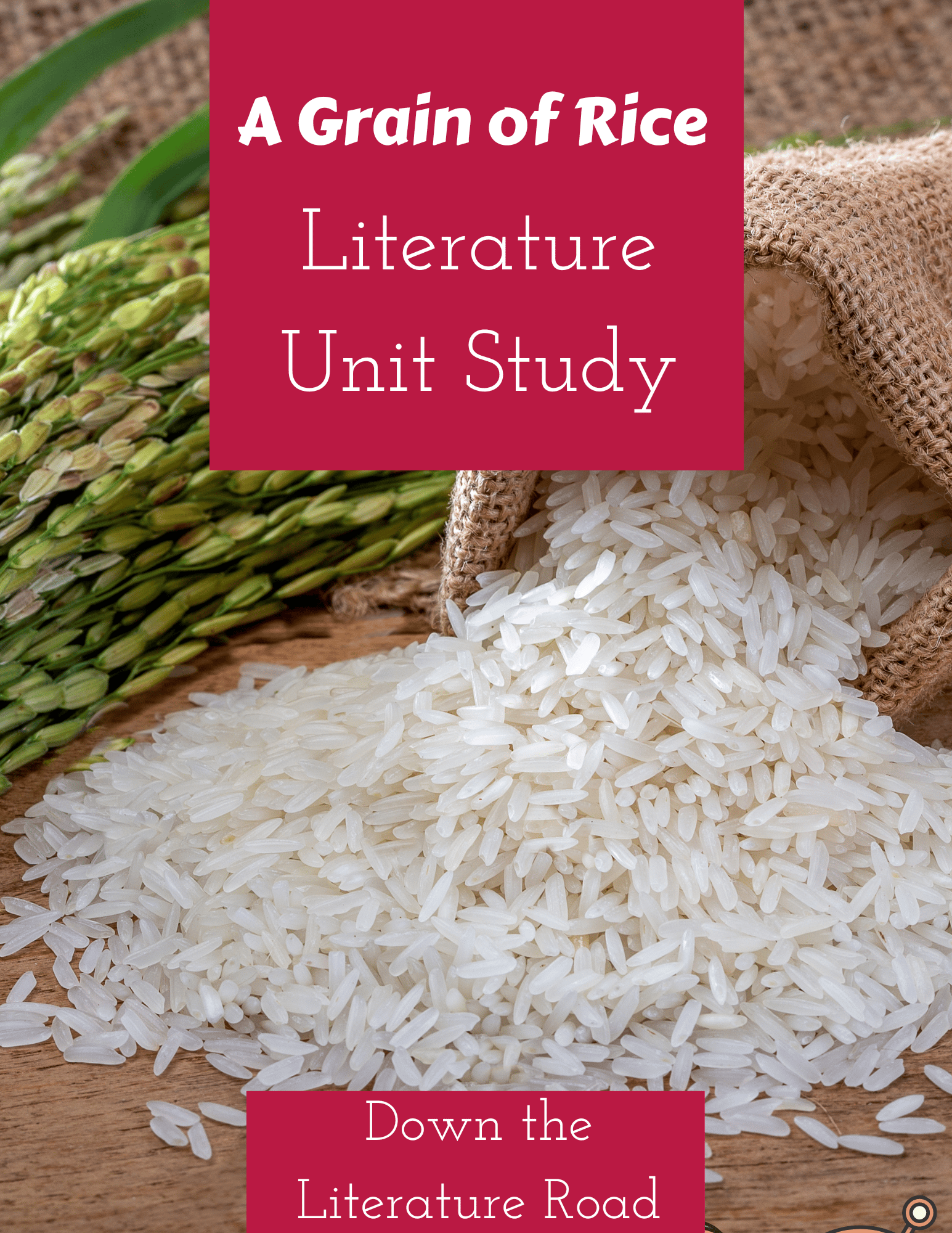 A Grain of Rice Literature Unit - Payhip