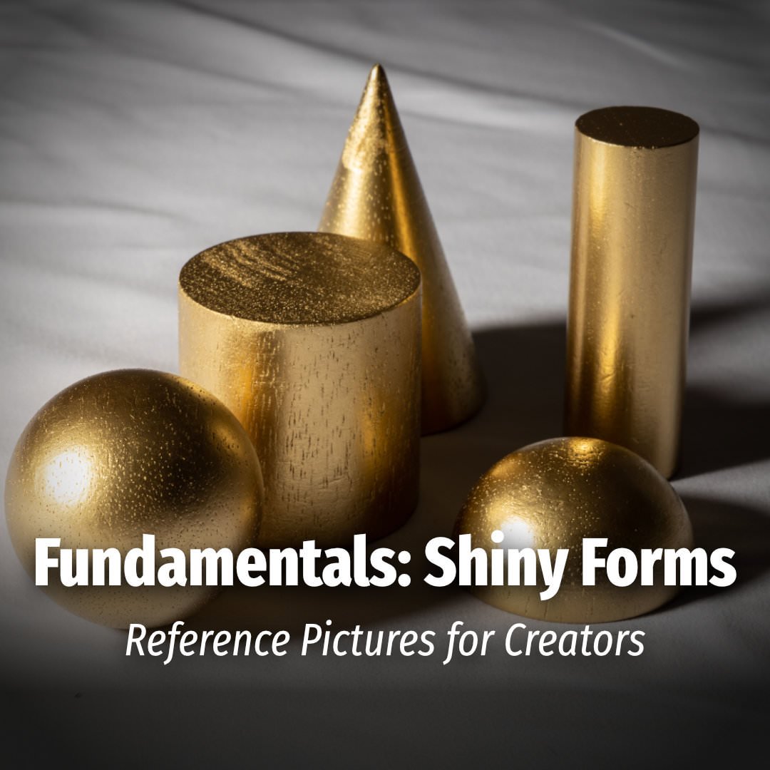 Fundamentals: Shiny Forms - Reference Pictures for Creators
