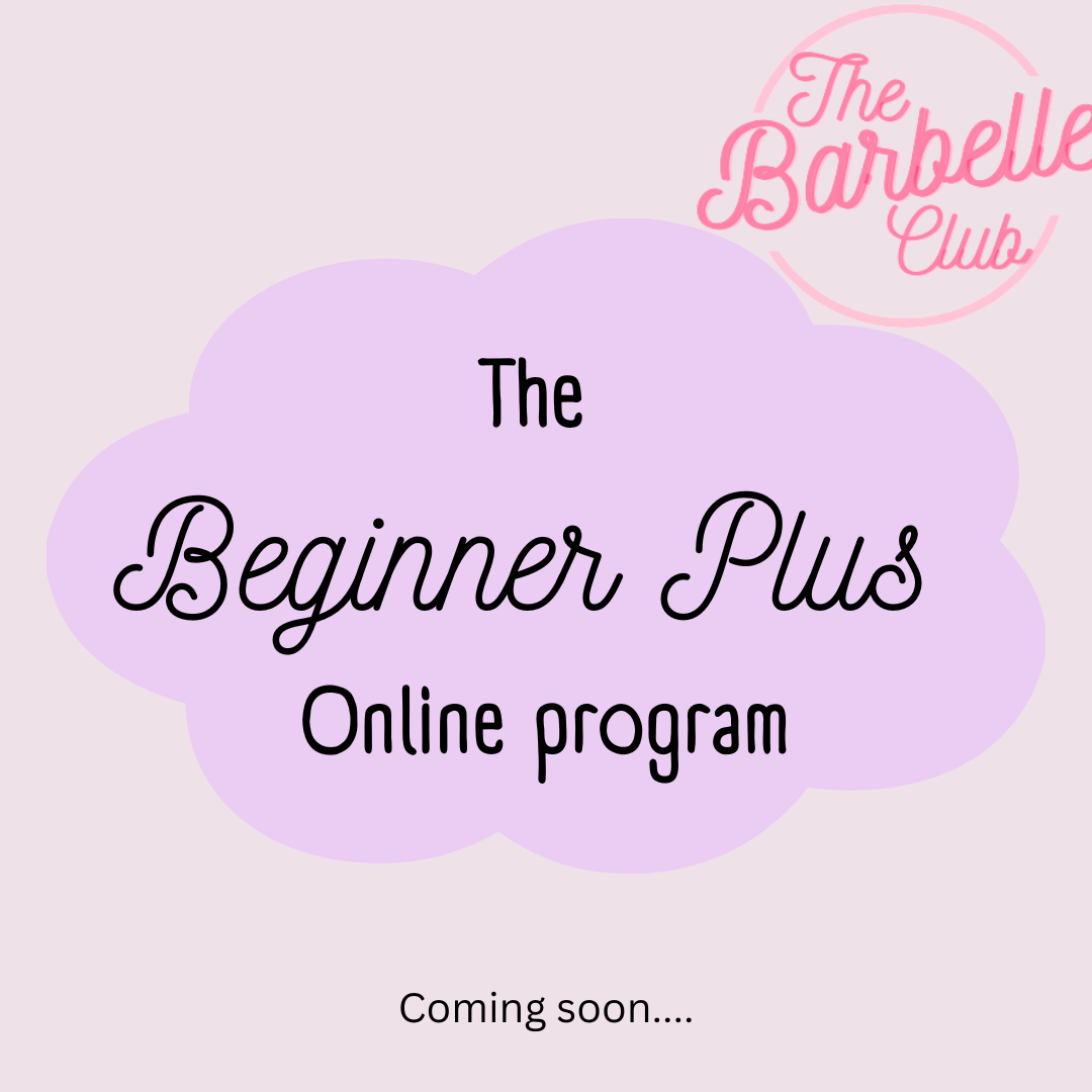 Beginners plus online program - Payhip