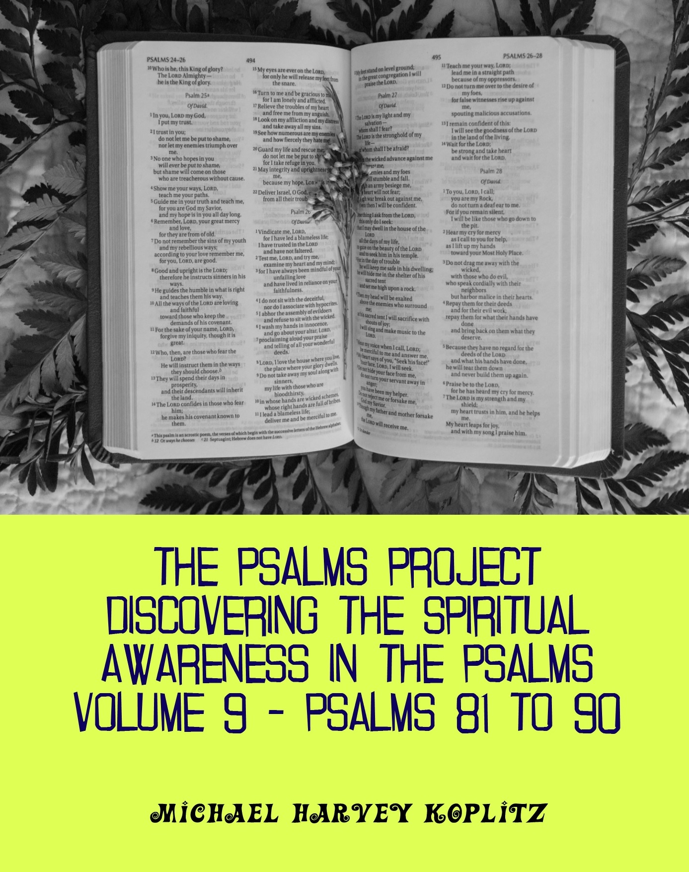 THE PSALMS PROJECT VOLUME NINE: Discovering the Spiritual World through ...