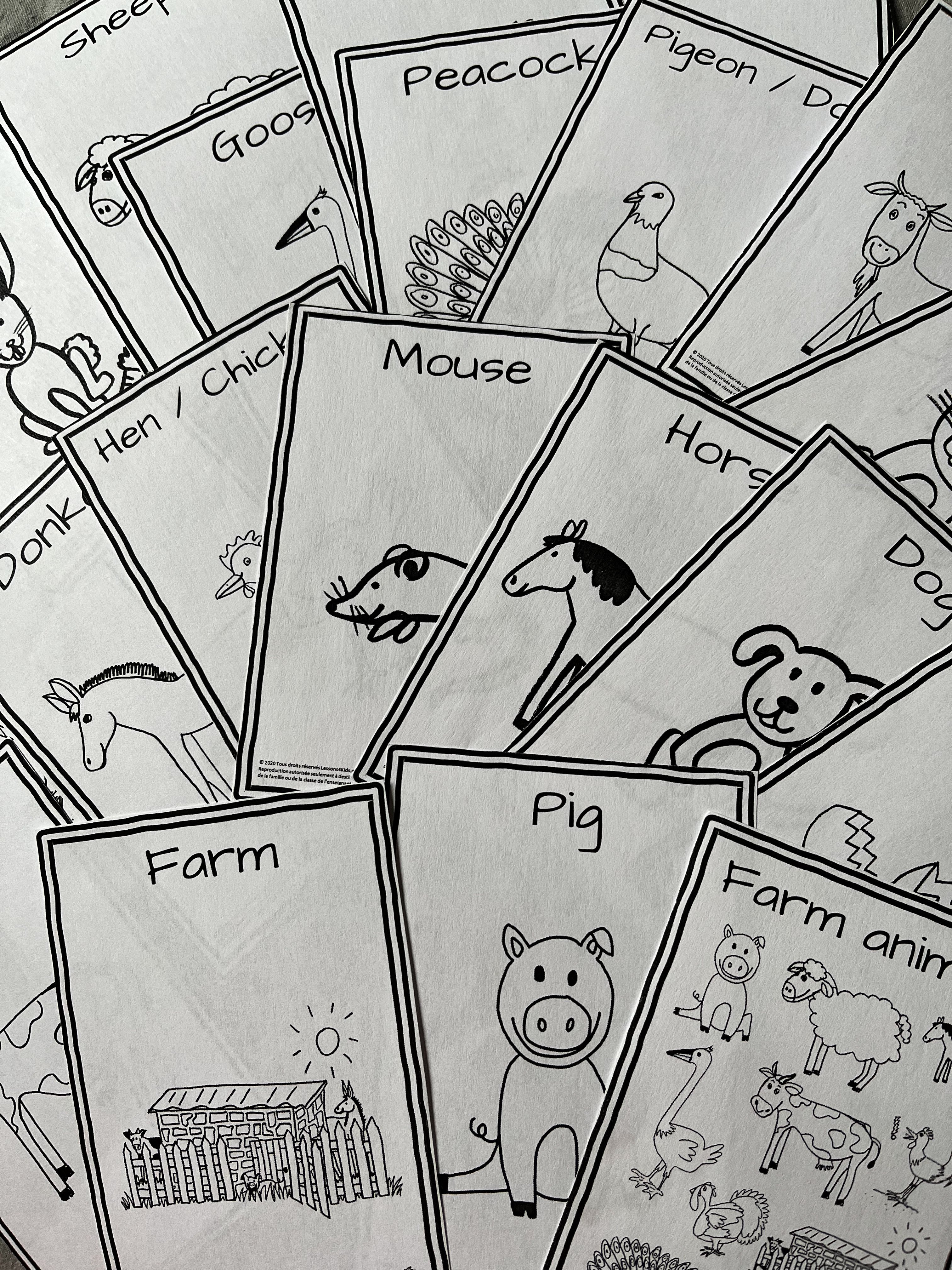 Bilingual flashcards Farm Animals / Cartes de nomenclature bilingues ...