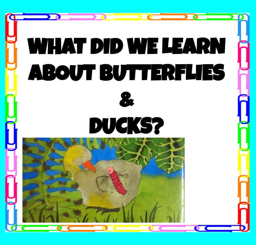 FARFALLINA & MARCEL By Holly Keller - READING & EXTENSION ACTIVITIES ...