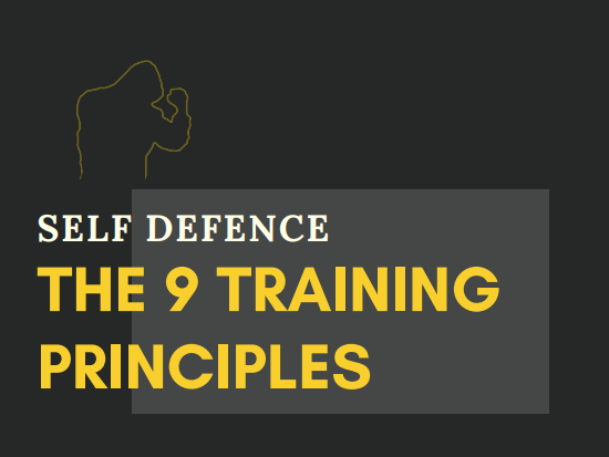 Self Defense - The 9 Principles - Payhip