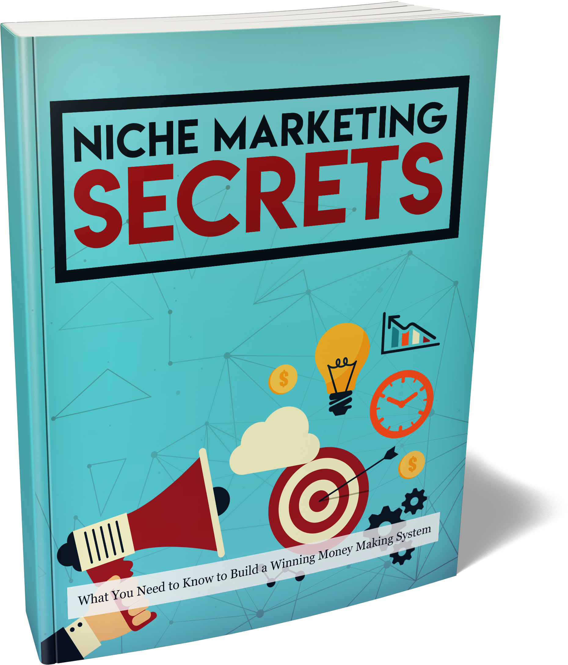 Niche Marketing Secrets - Payhip