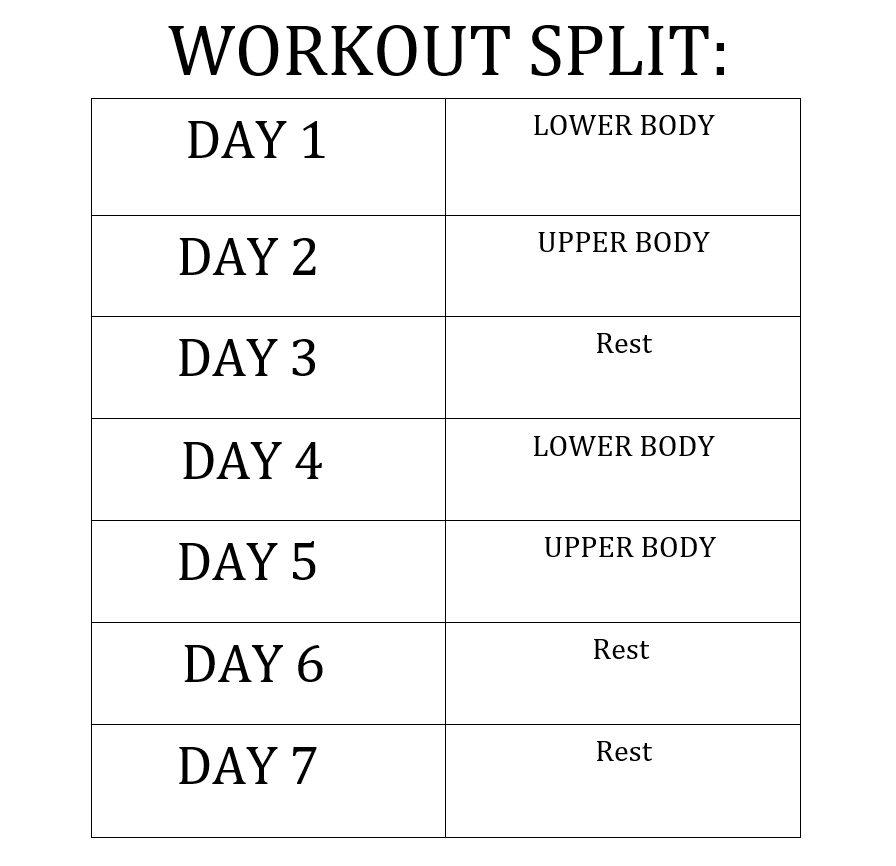 12-Week At-Home Beginner Program - Payhip
