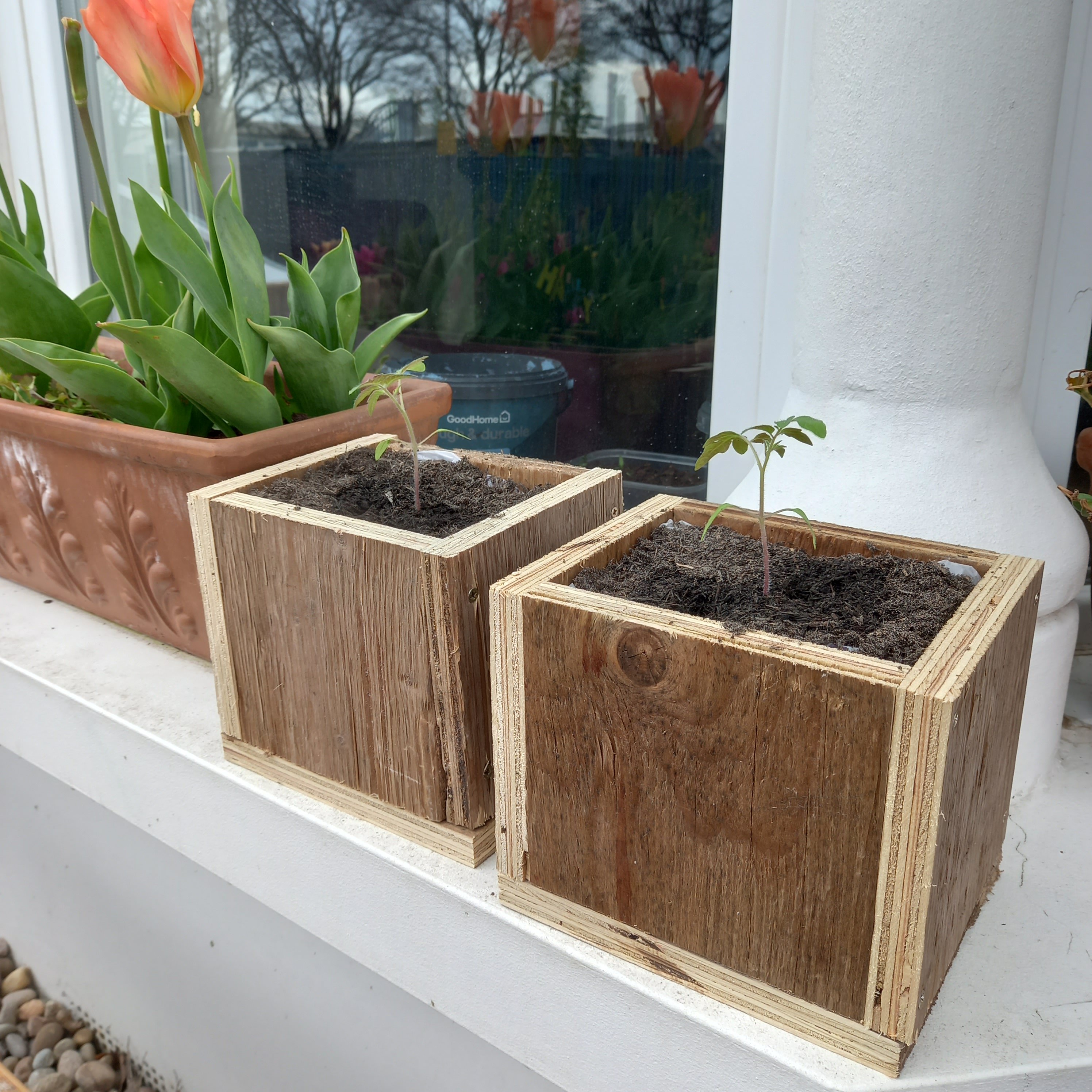 Rough plant box - Payhip