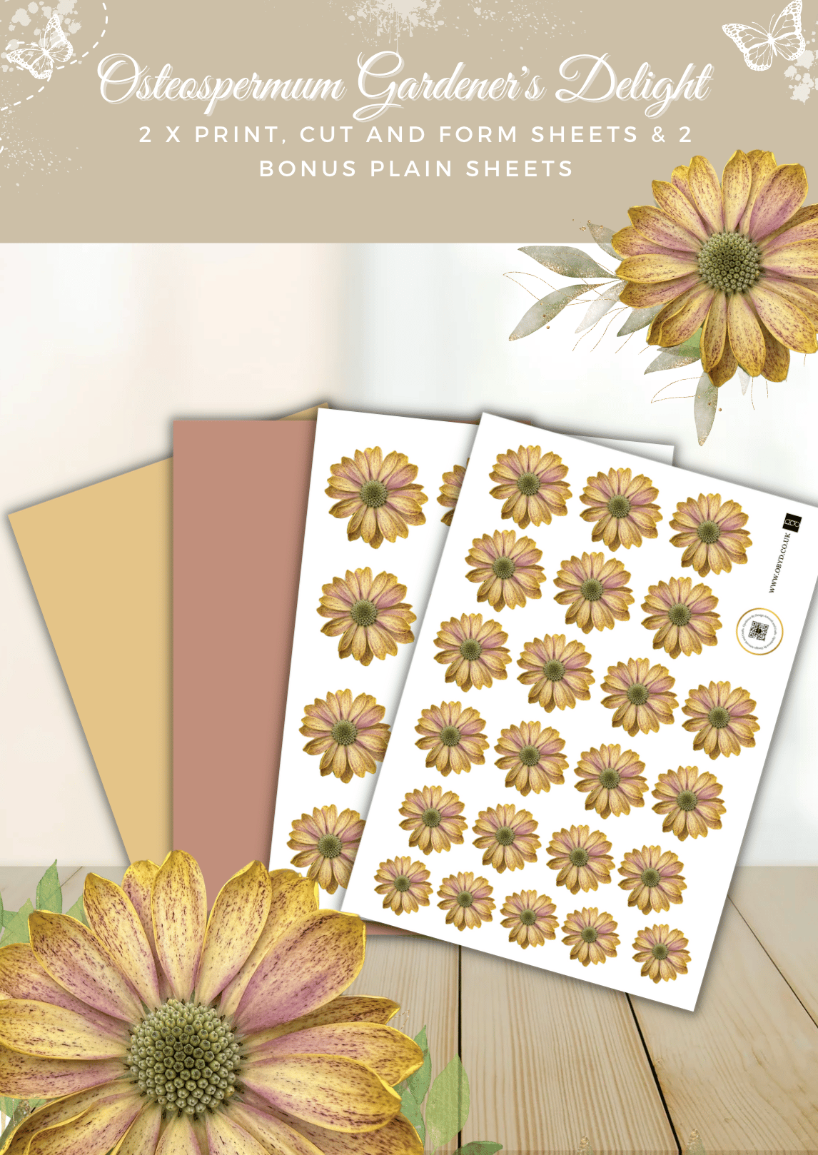Digital Florist Osteospermum Gardener's Delight Flower Former Sheets ...