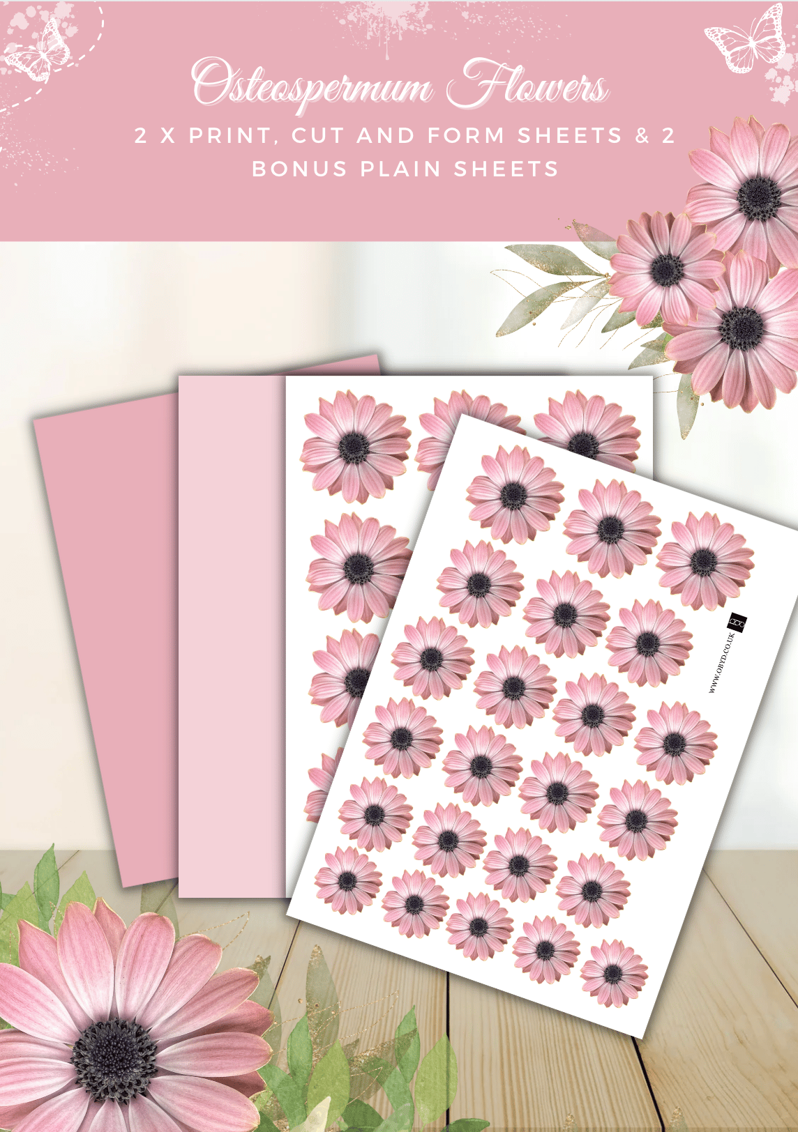 Digital Florist Soft Pink Osteospermum Flower Former Sheets PDF Digital ...