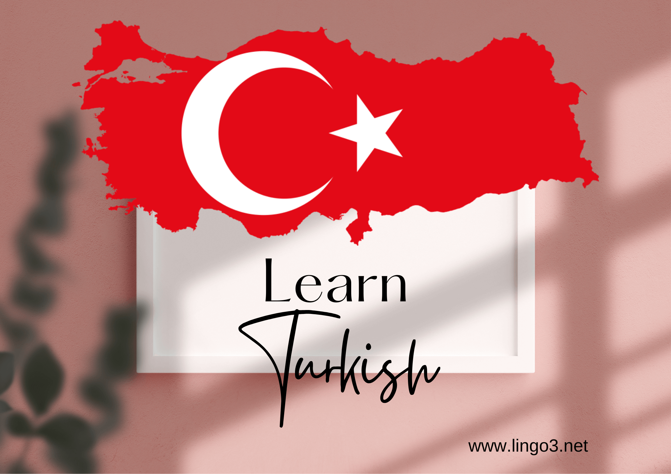 All you need to know about Turkish language