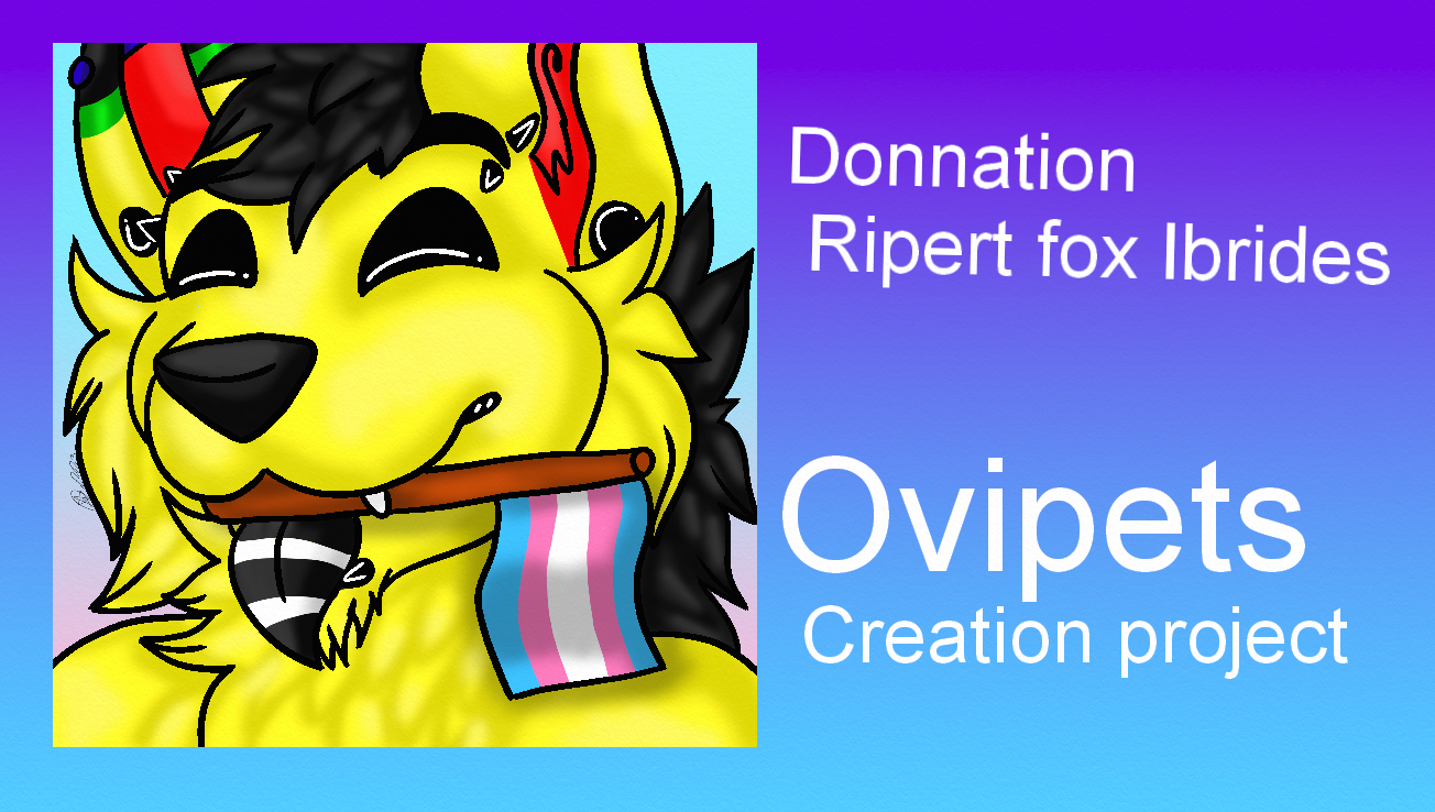 Don pour avancé Project Ovipets - Payhip