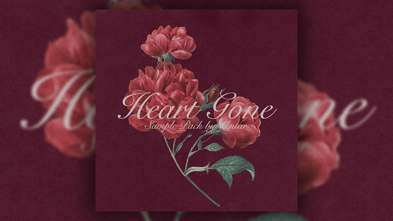 Heart Gone Loopkit /Sample Pack @prodantar_ - Payhip