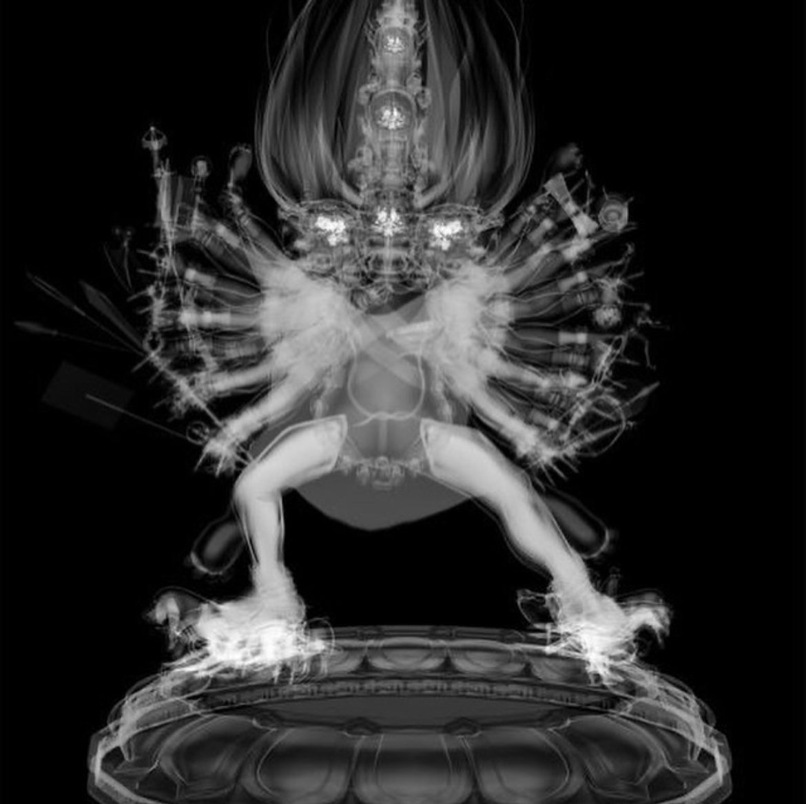 @riothill 808 Stash Kit - Payhip