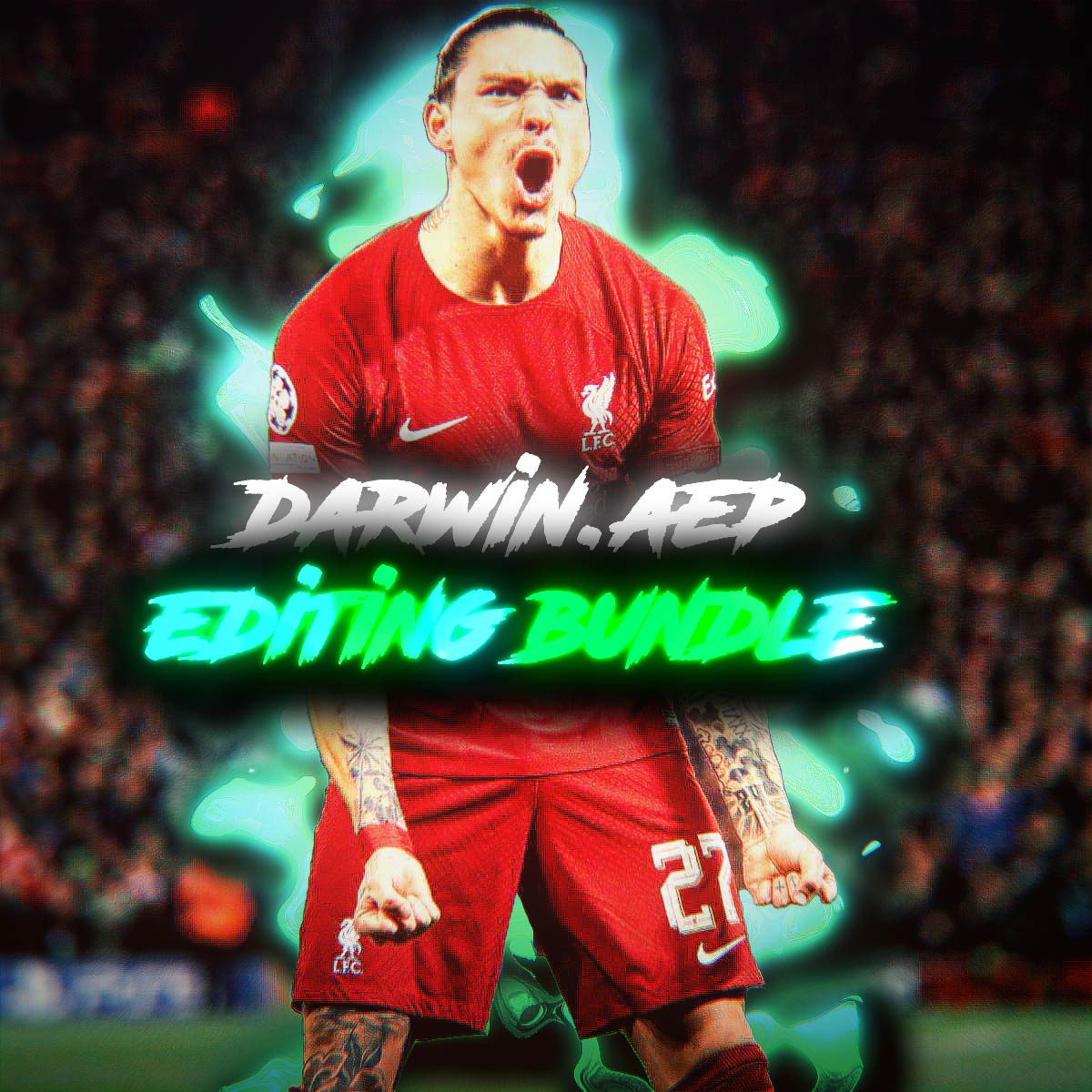 DARWINAEP EDITING BUNDLE - Payhip