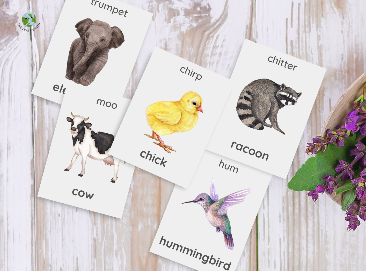 28 Animal Sound Flashcards, Movement Activity, Action Cards - Payhip