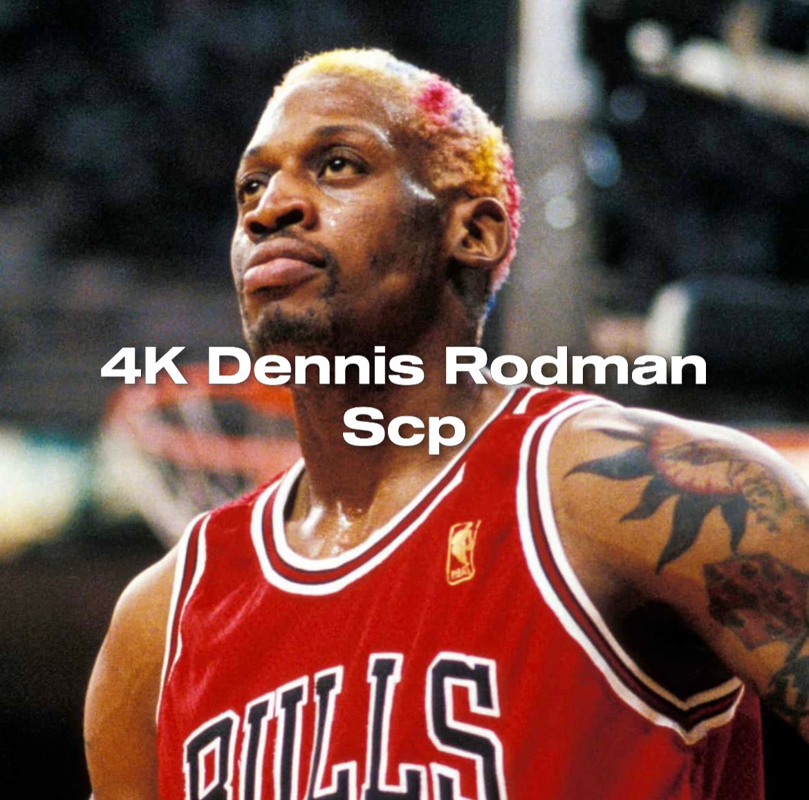 4K Dennis Rodman Scp - Payhip